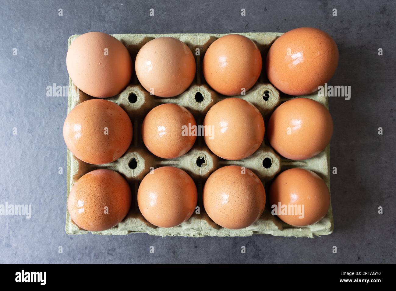 A centered zenithal view of a full egg carton, occupying the entire ...