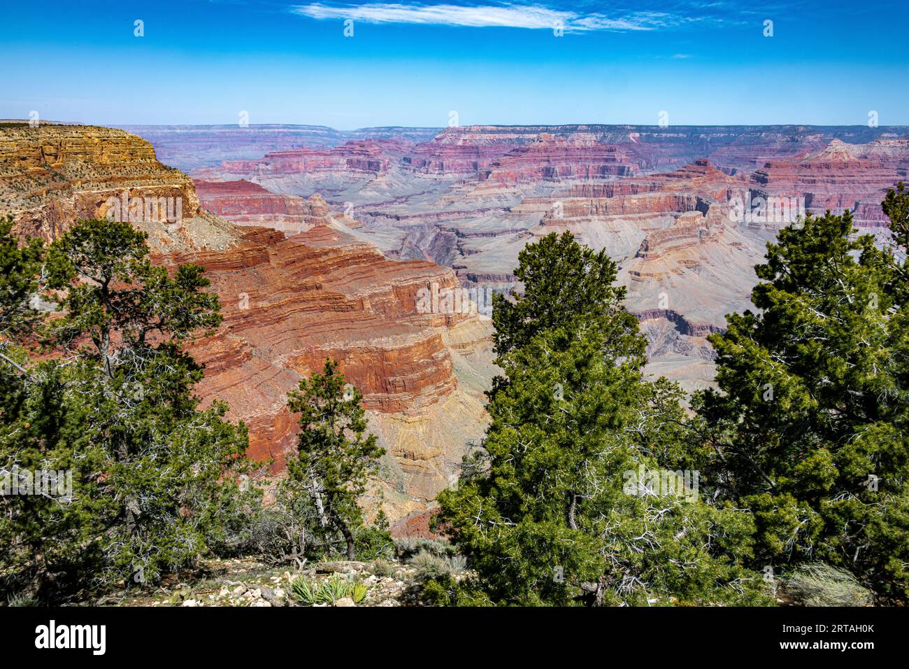 South Rim of the Grand Canyon in Springtime Stock Photo - Alamy