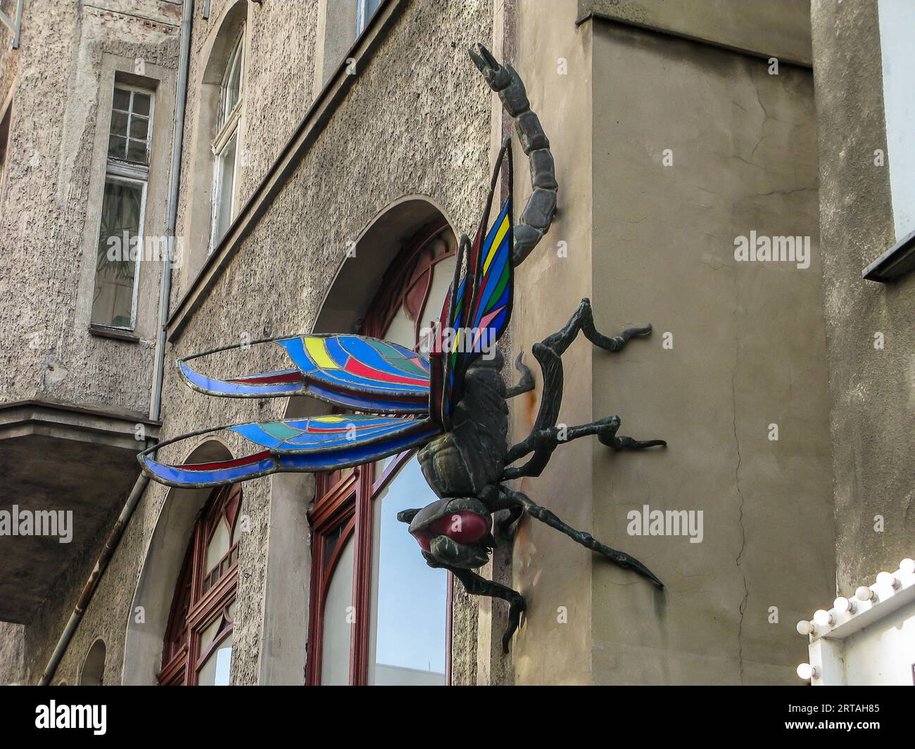 dragonfly sculpture on a building wall, Wroclaw, Poland Stock Photo - Alamy