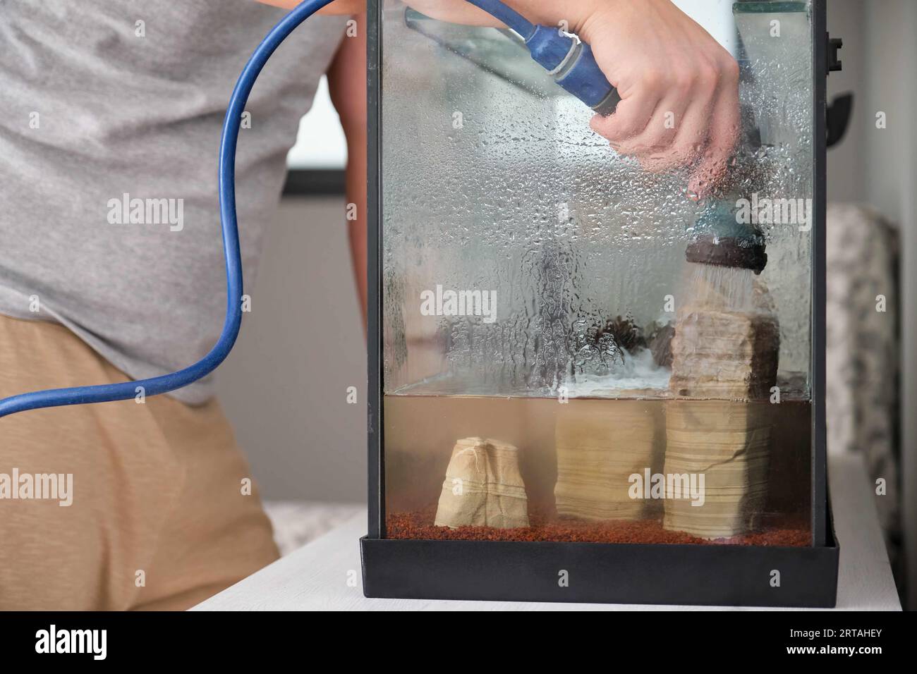 Add fish to aquarium hi-res stock photography and images - Alamy