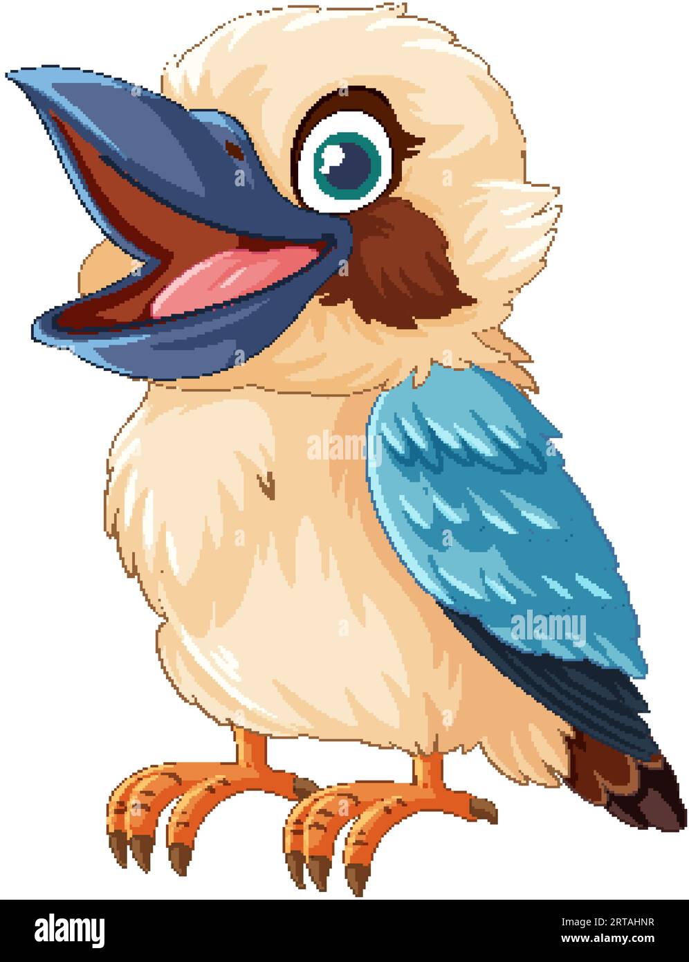 Kookaburra Bird Cartoon