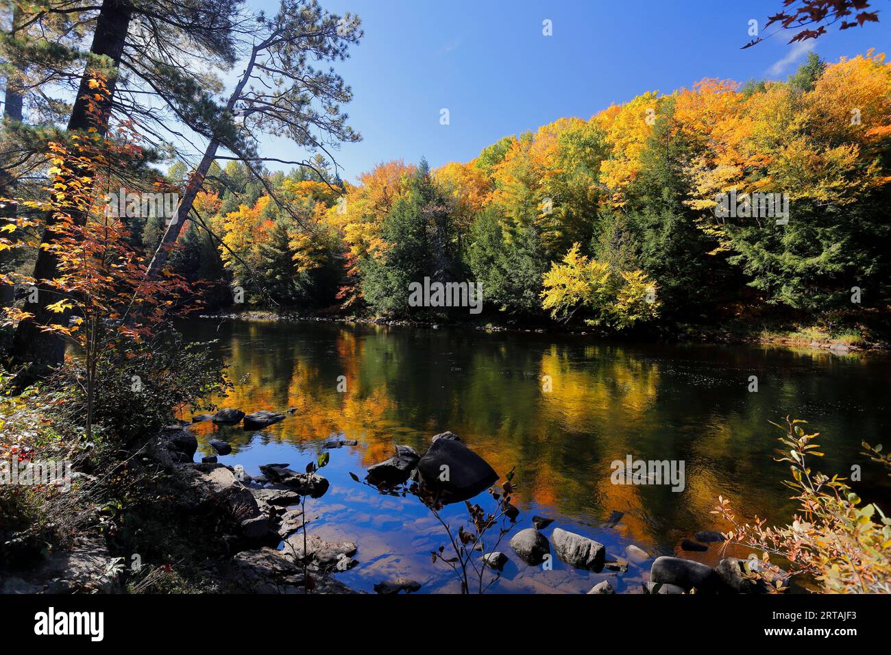 Rawdon river hi-res stock photography and images - Alamy