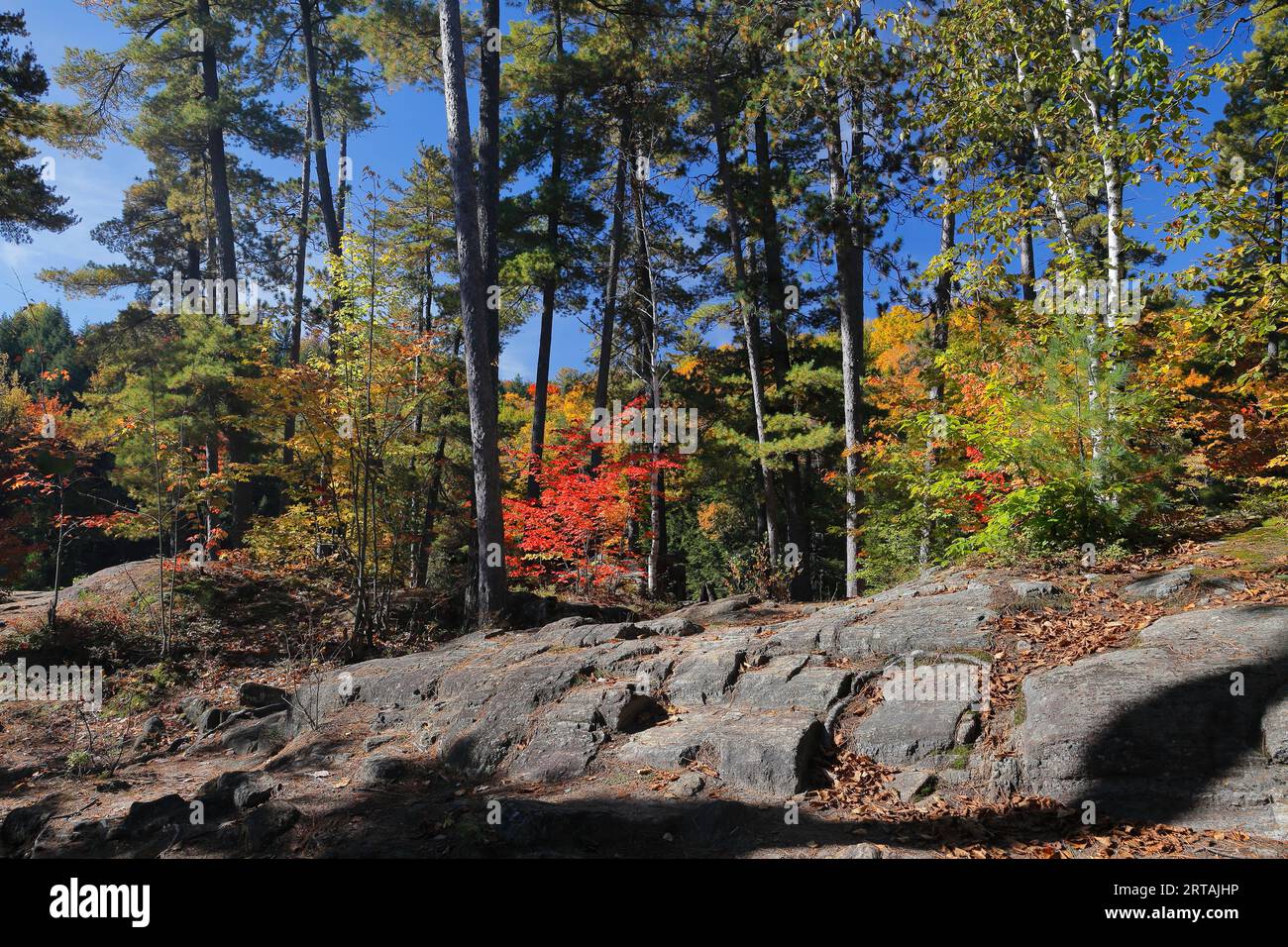 Rawdon river hi-res stock photography and images - Alamy