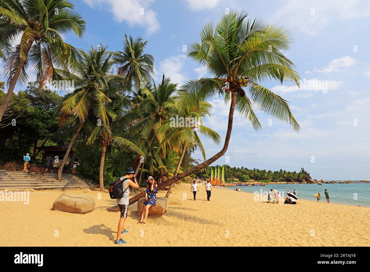 Sanya City, China - April 2nd, 2019: Natural scenery of tall coconut ...