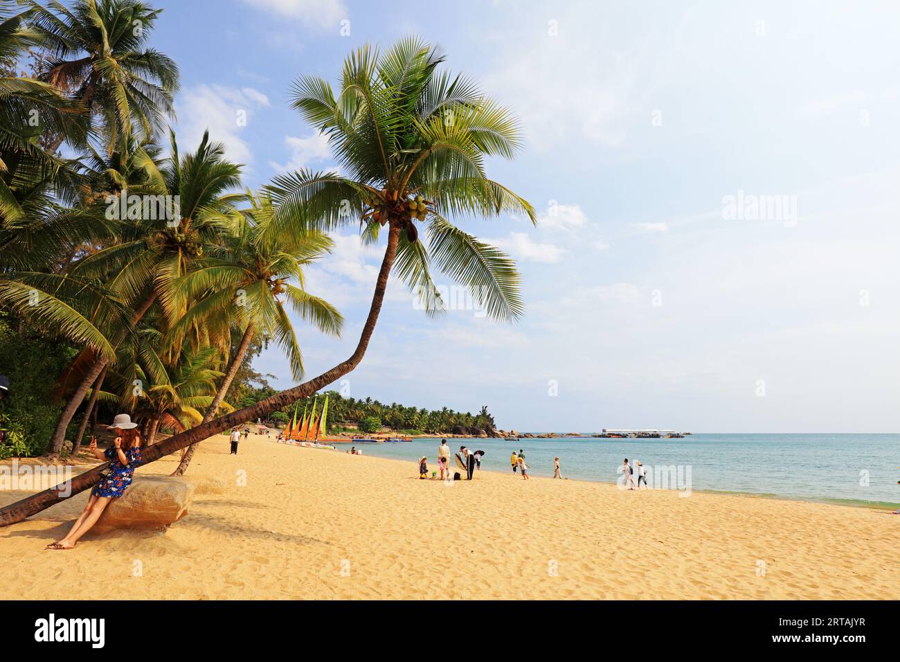 Sanya City, China - April 2nd, 2019: Natural scenery of tall coconut ...