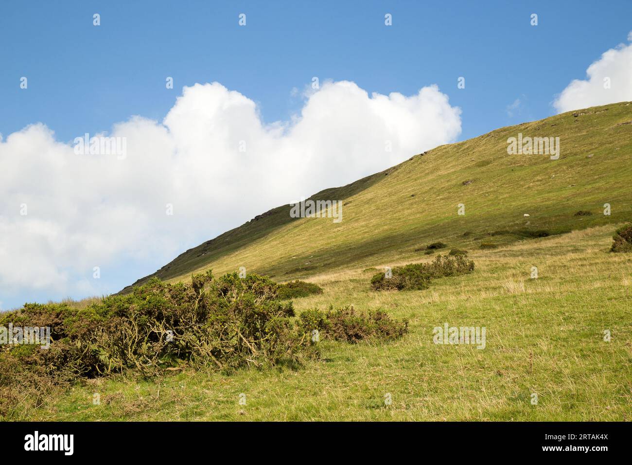 Gospel pass hi-res stock photography and images - Alamy