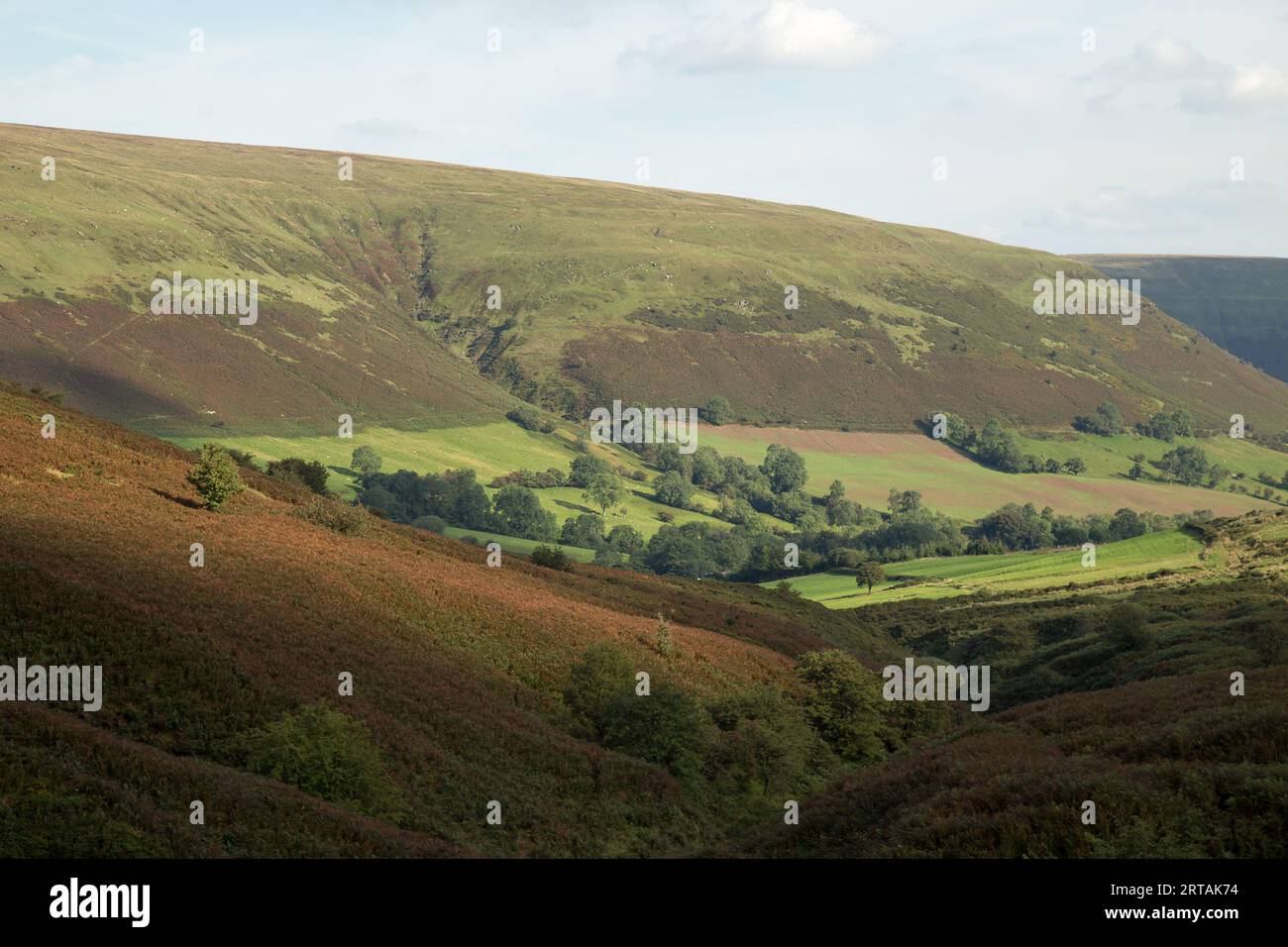 Gospel pass hi-res stock photography and images - Alamy