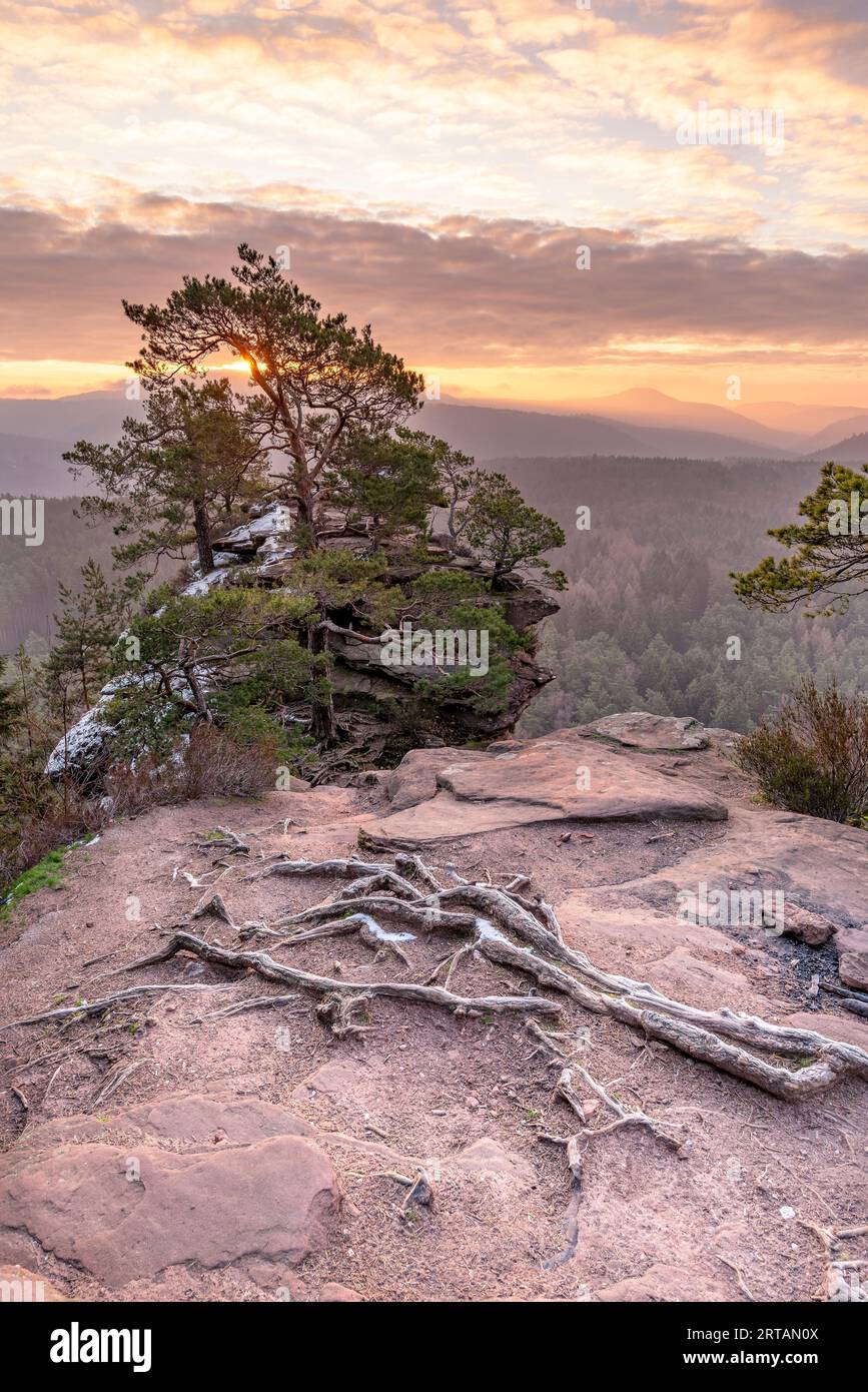 Sun rising view hi-res stock photography and images - Alamy