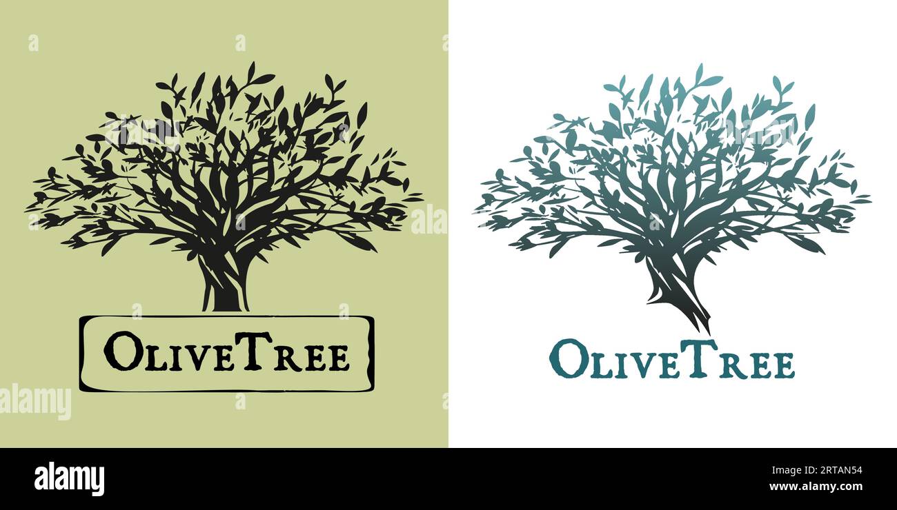 Isolated hand drawn olive tree symbolic illustration on sample text as ...