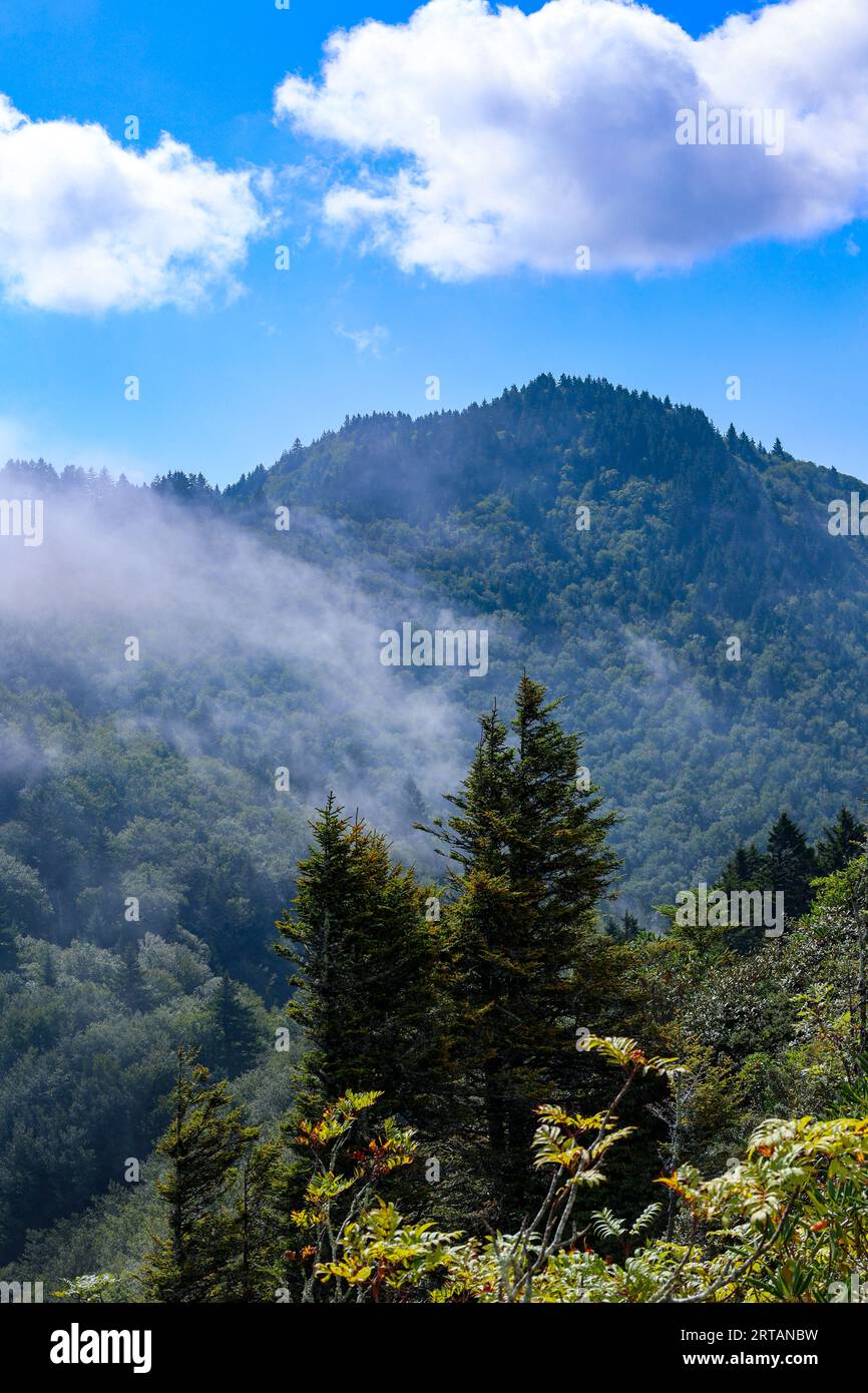 Great Smoky Mountains Stock Photo - Alamy