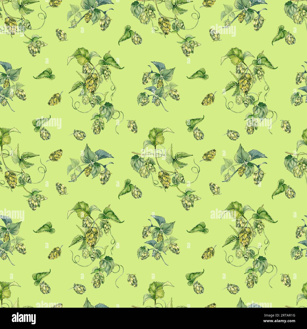 Hop vine, plant humulus watercolor seamless pattern isolated on green ...