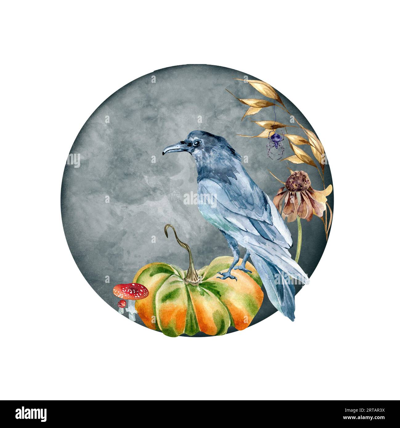 Raven night Cut Out Stock Images & Pictures - Alamy