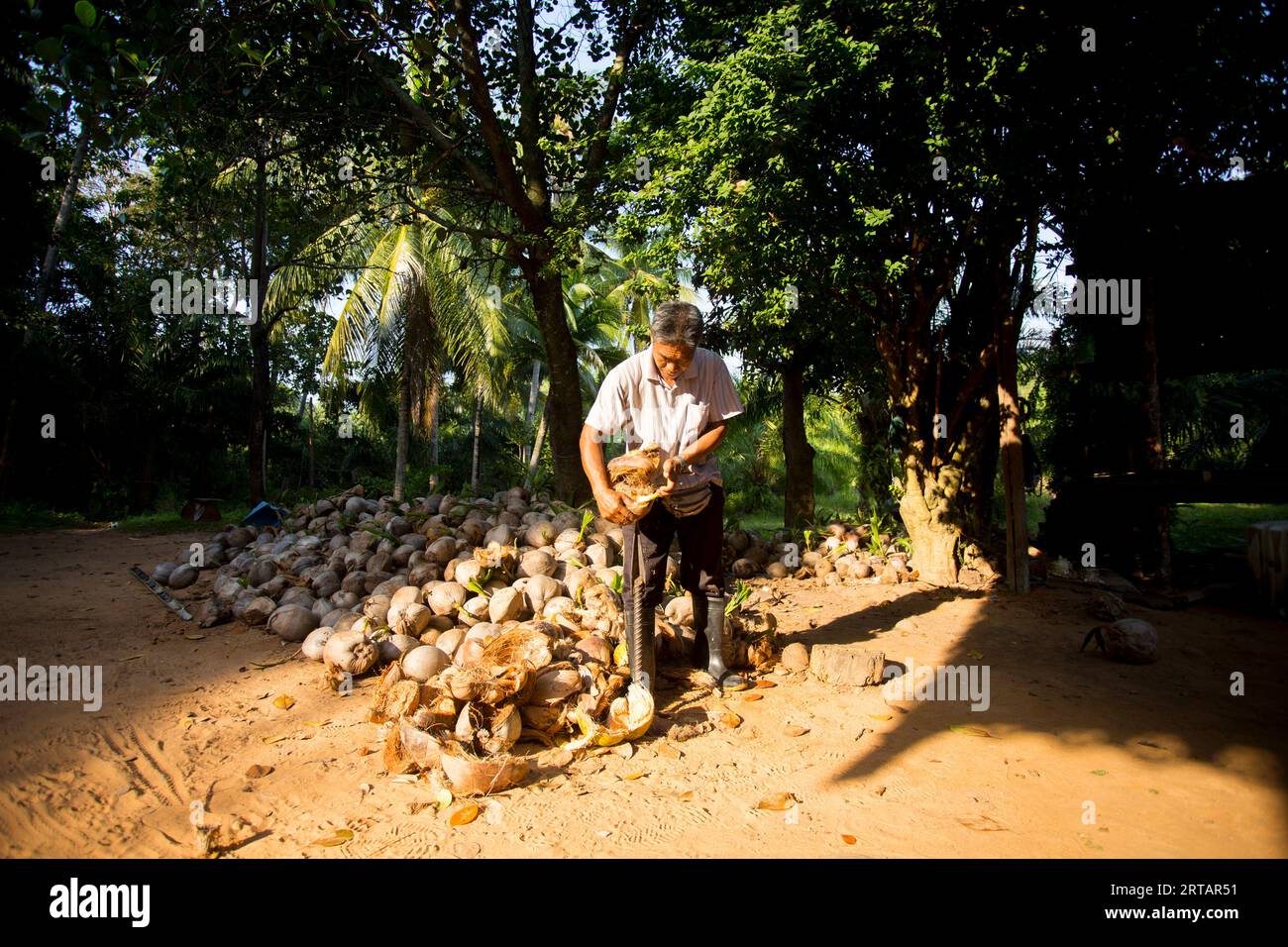 Koh Yao, Thailand; 1st January 2023: A farmer feeding his goats on his ...
