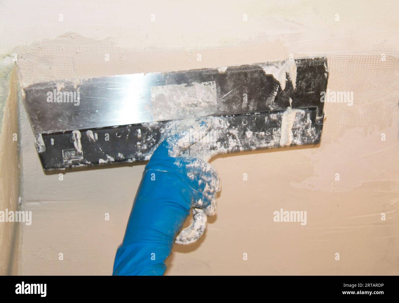 Female plasterer painter repairing a ceiling indoor Stock Photo - Alamy