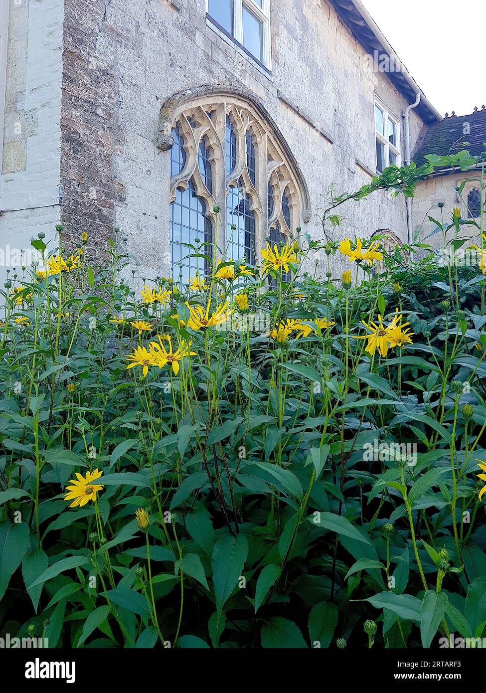 The facade of an old hall in Suffolk, UK Stock Photo - Alamy