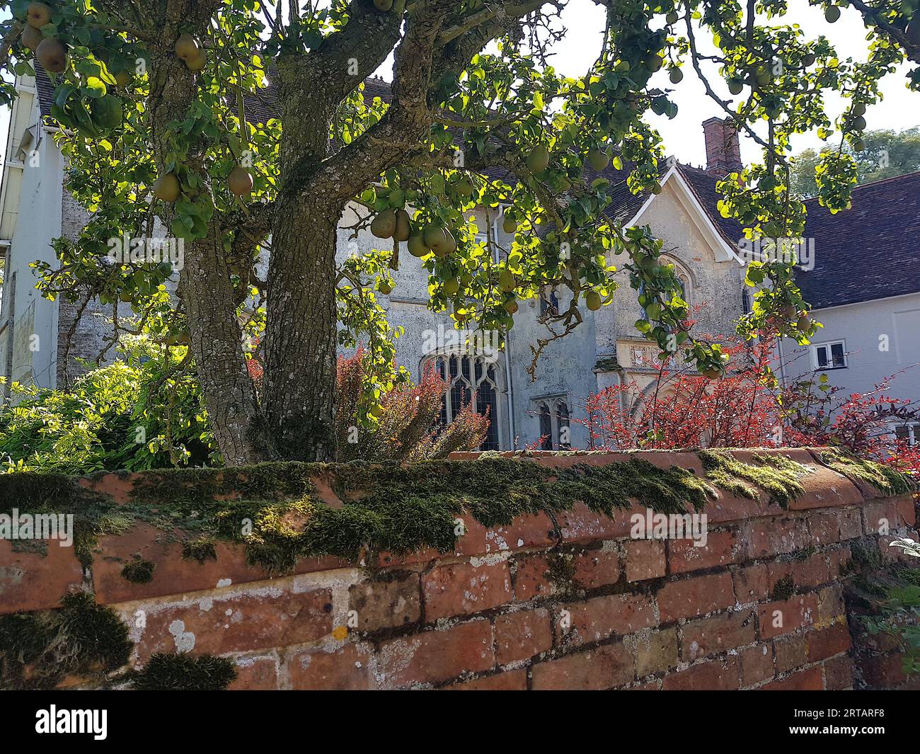 The facade of an old hall in Suffolk, UK Stock Photo - Alamy