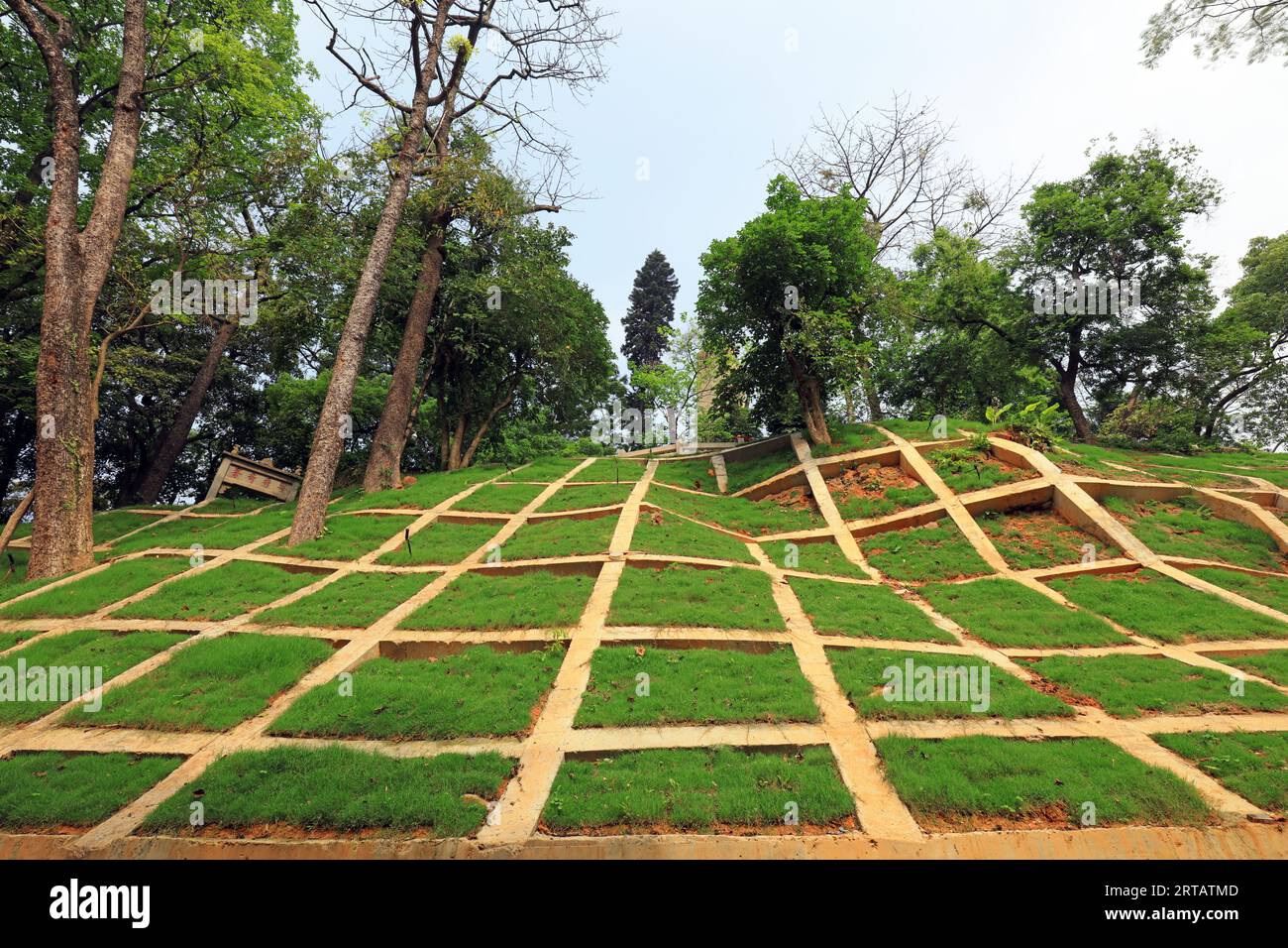 Slope protection green landscape in Yuexiu Park, Guangzhou City, China ...