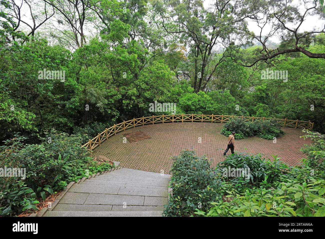 Forest scenic spot hi-res stock photography and images - Alamy