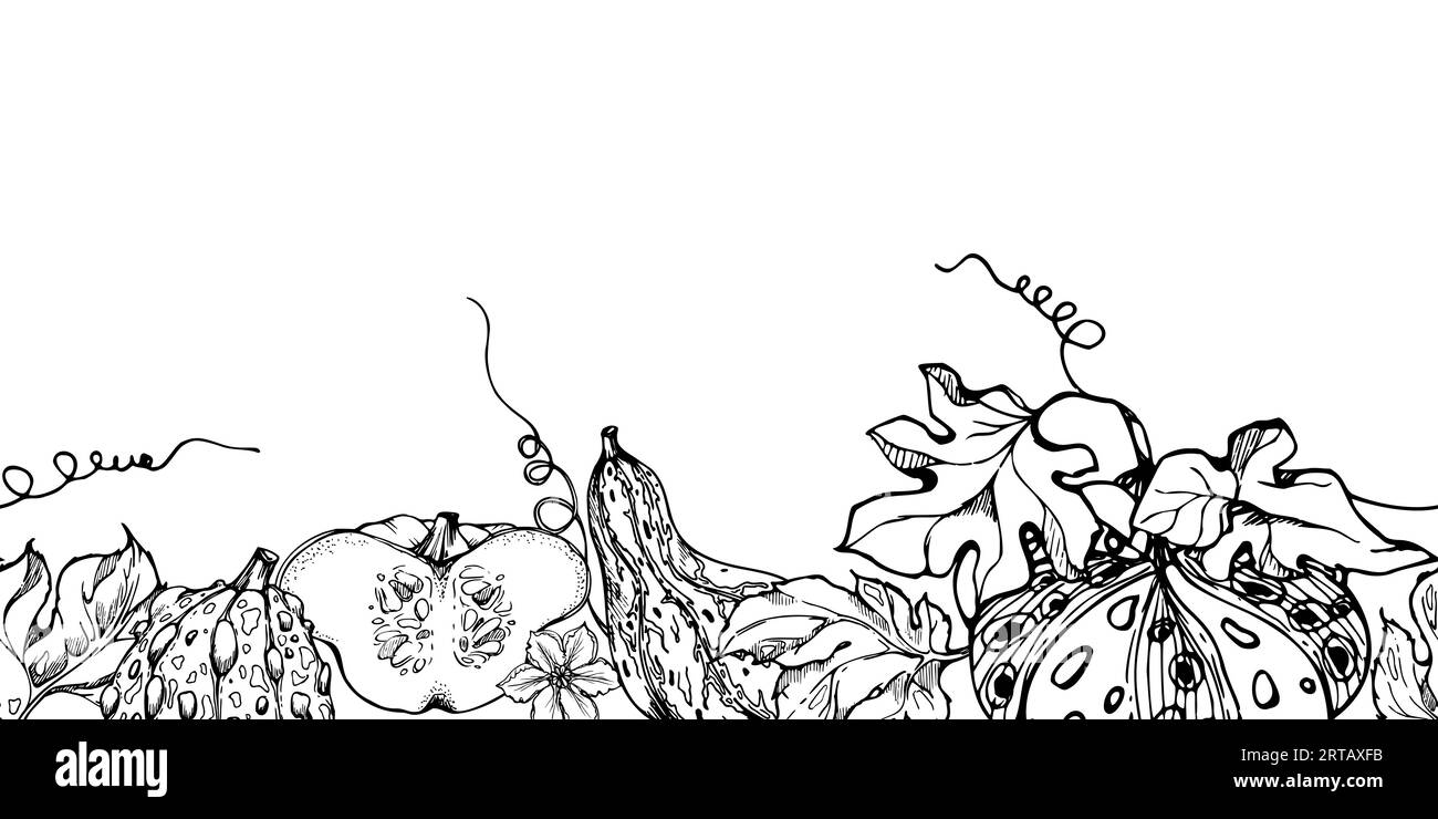 Hand drawn ink vector pumpkin gourd squash flower, tendrils and leaf ...