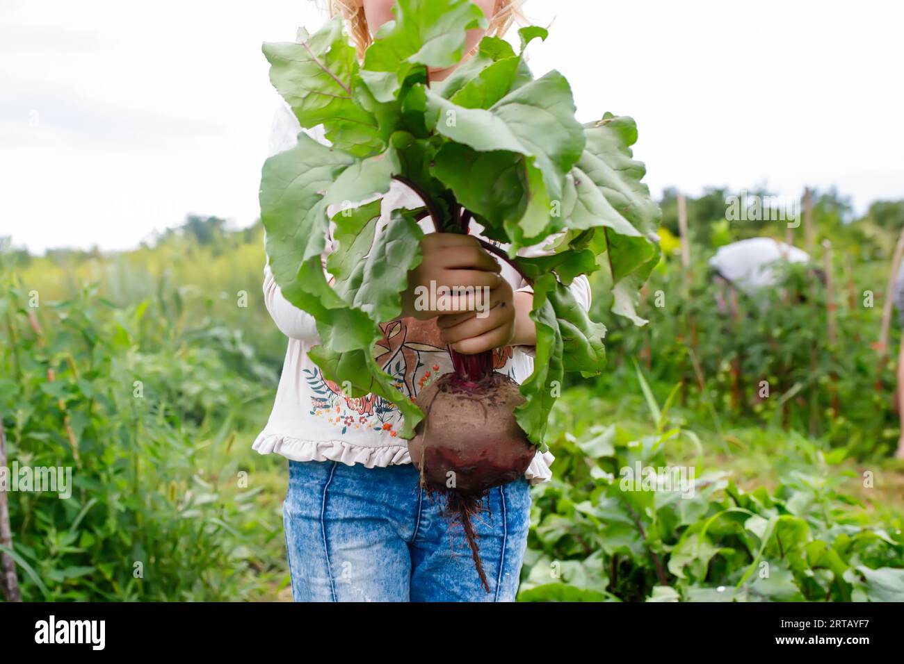 Healthy lifestyle concept: Happy child with garden-fresh beets in hand ...