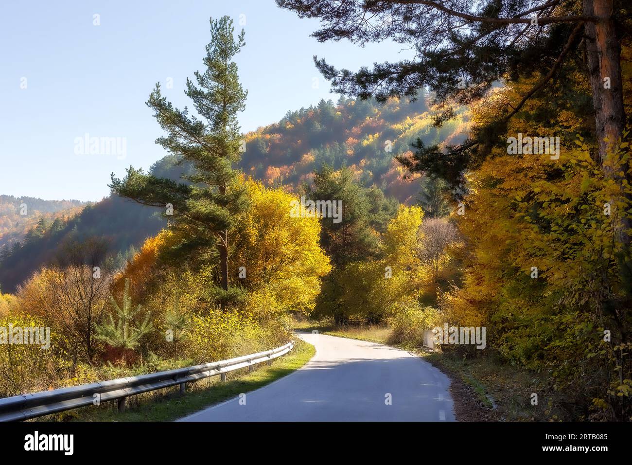 Golden magic autumn trees with colorful fall leaves. Romantic landscape ...