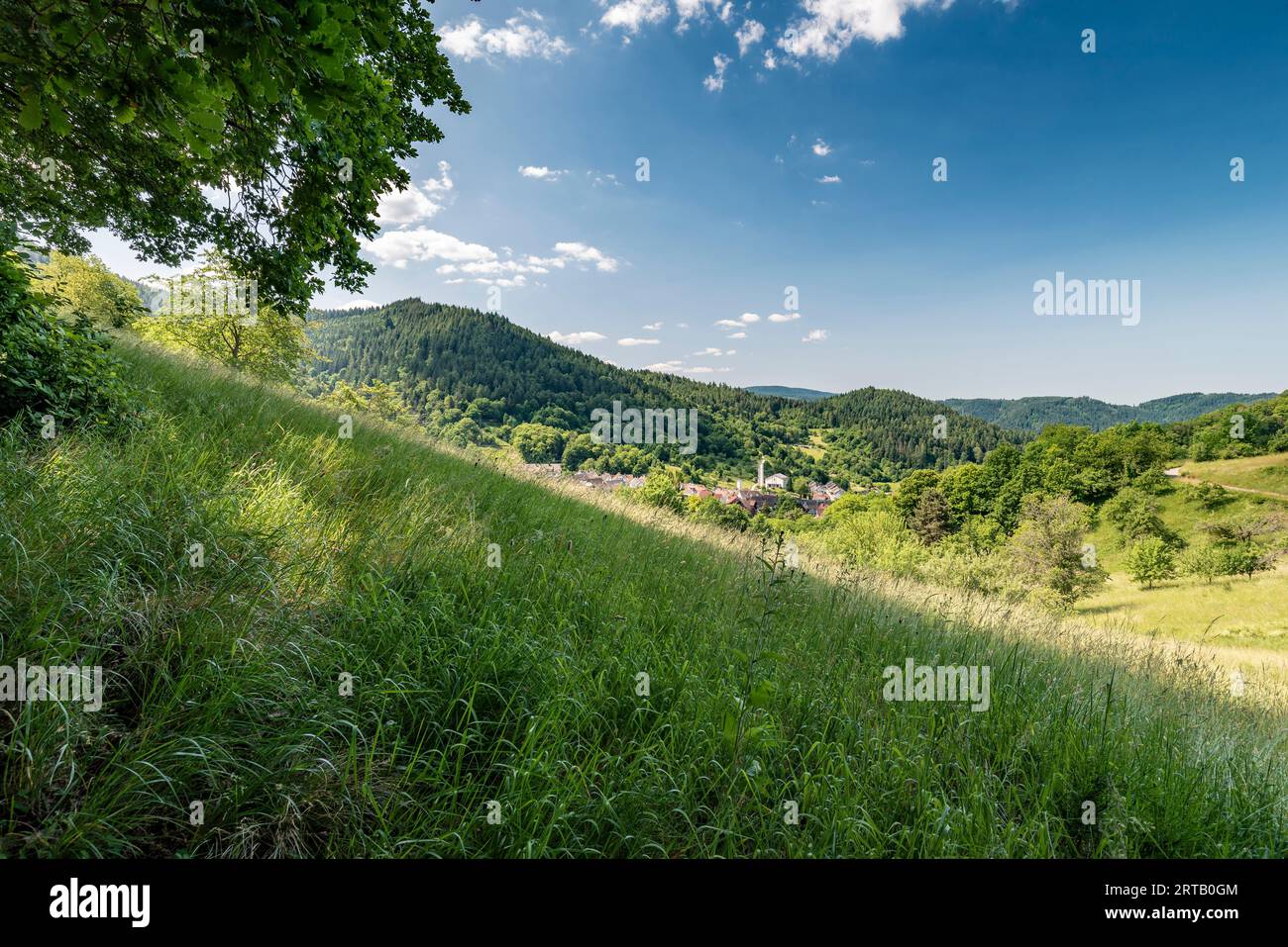 Lautenbach village hi-res stock photography and images - Alamy