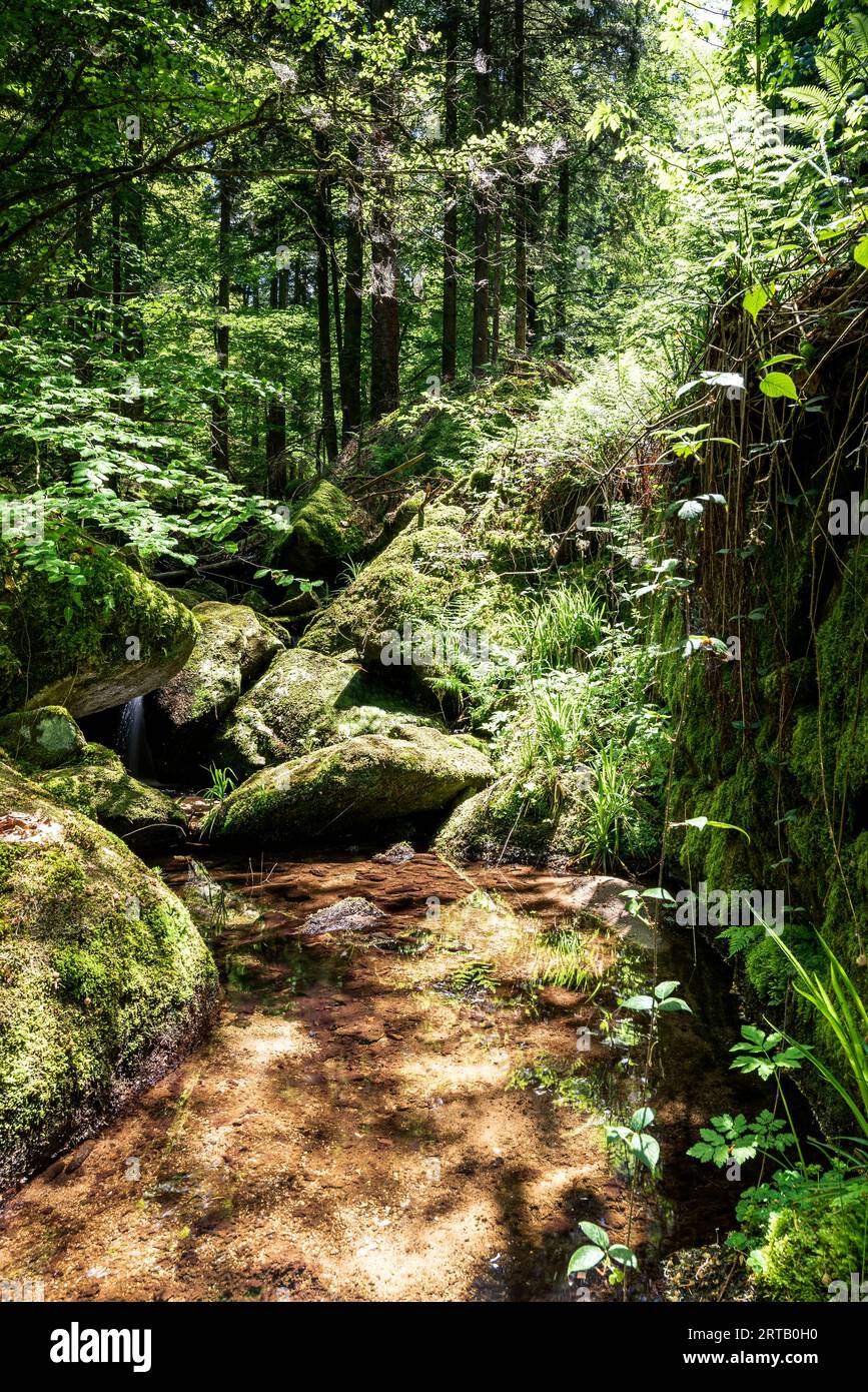Water basin at the Gertelbach Waterfalls, Bühlertal, Black Forest ...