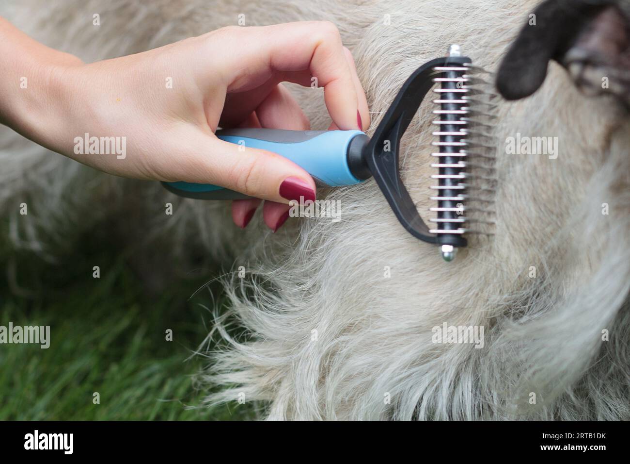 Doggy style woman hi-res stock photography and images - Alamy