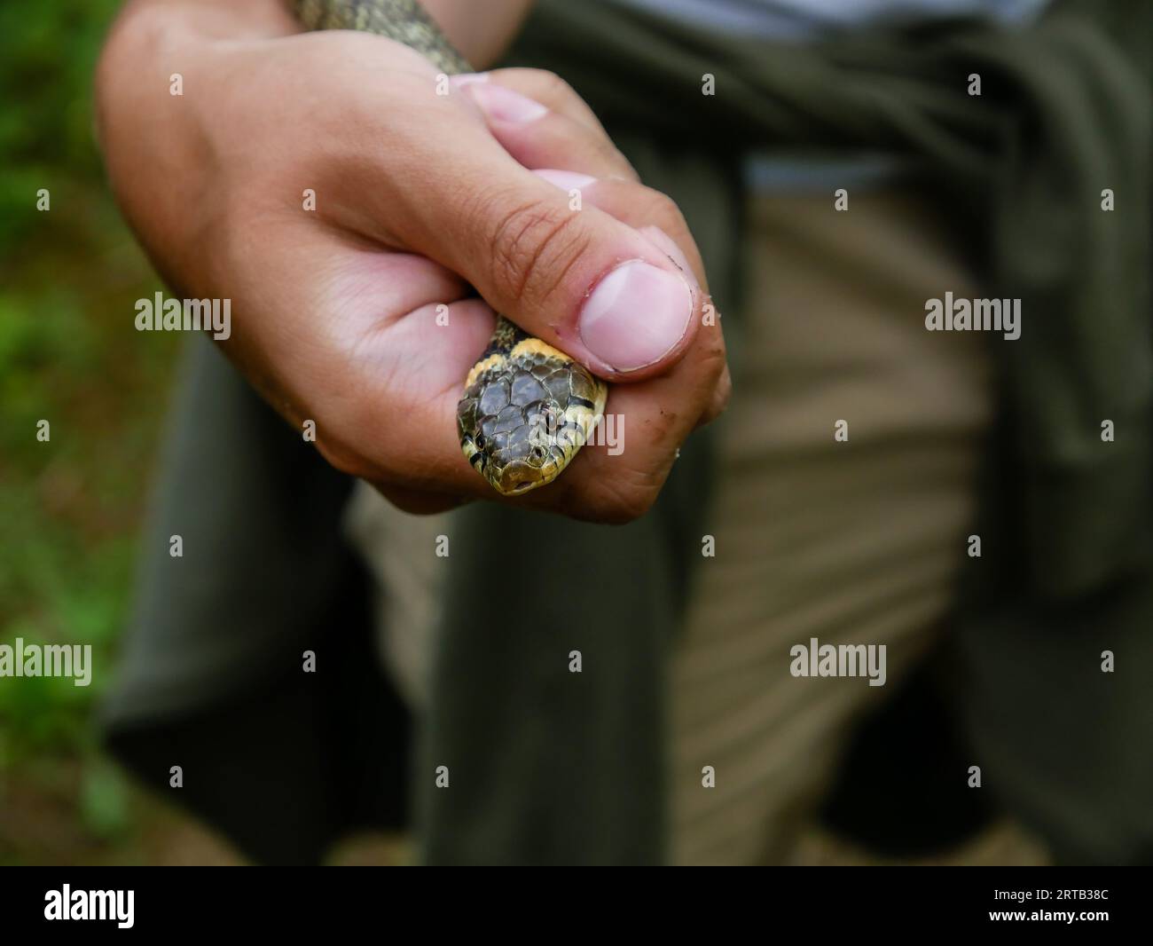 Hand handled hi-res stock photography and images - Alamy