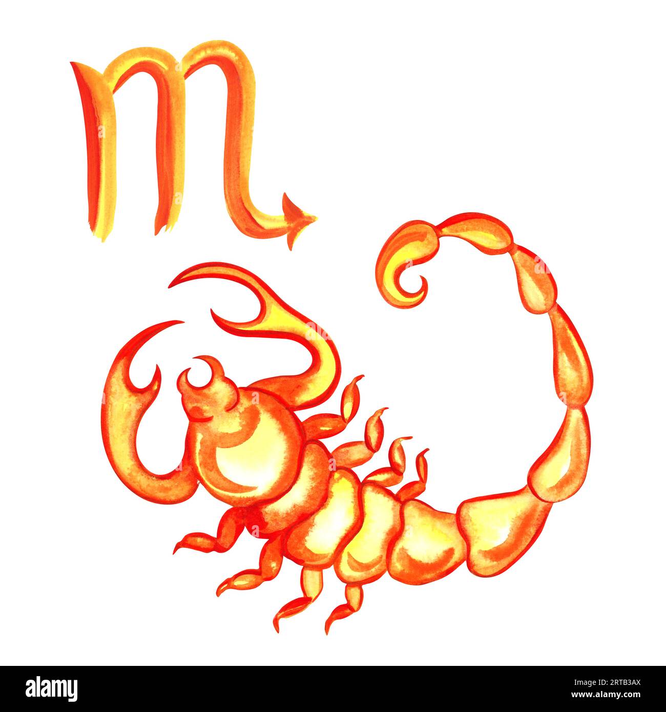 Scorpio. Zodiac sign by horoscope. The watercolor is hand-drawn ...