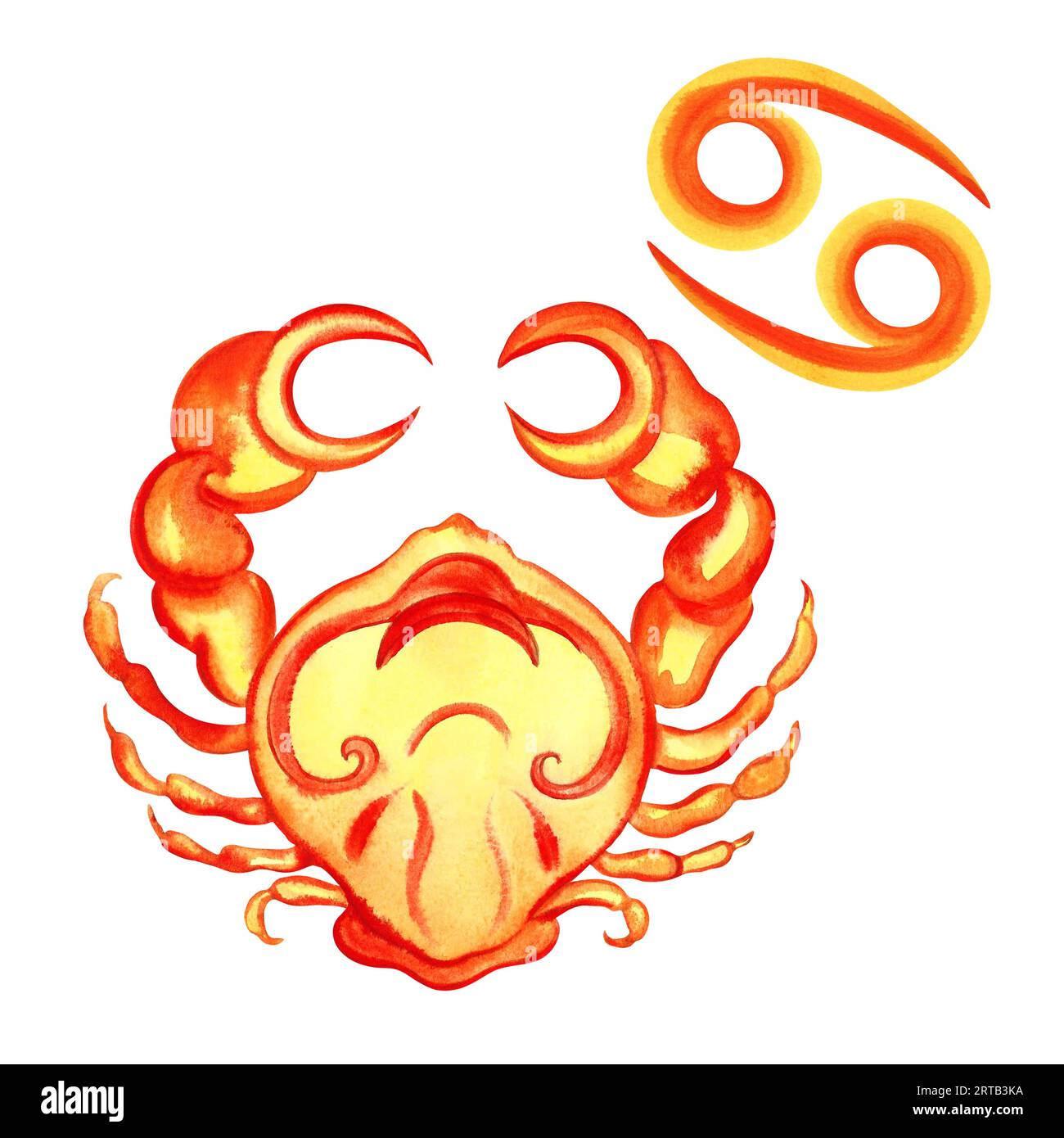 Cancer Zodiac Sign By Horoscope The Watercolor Is Hand Drawn