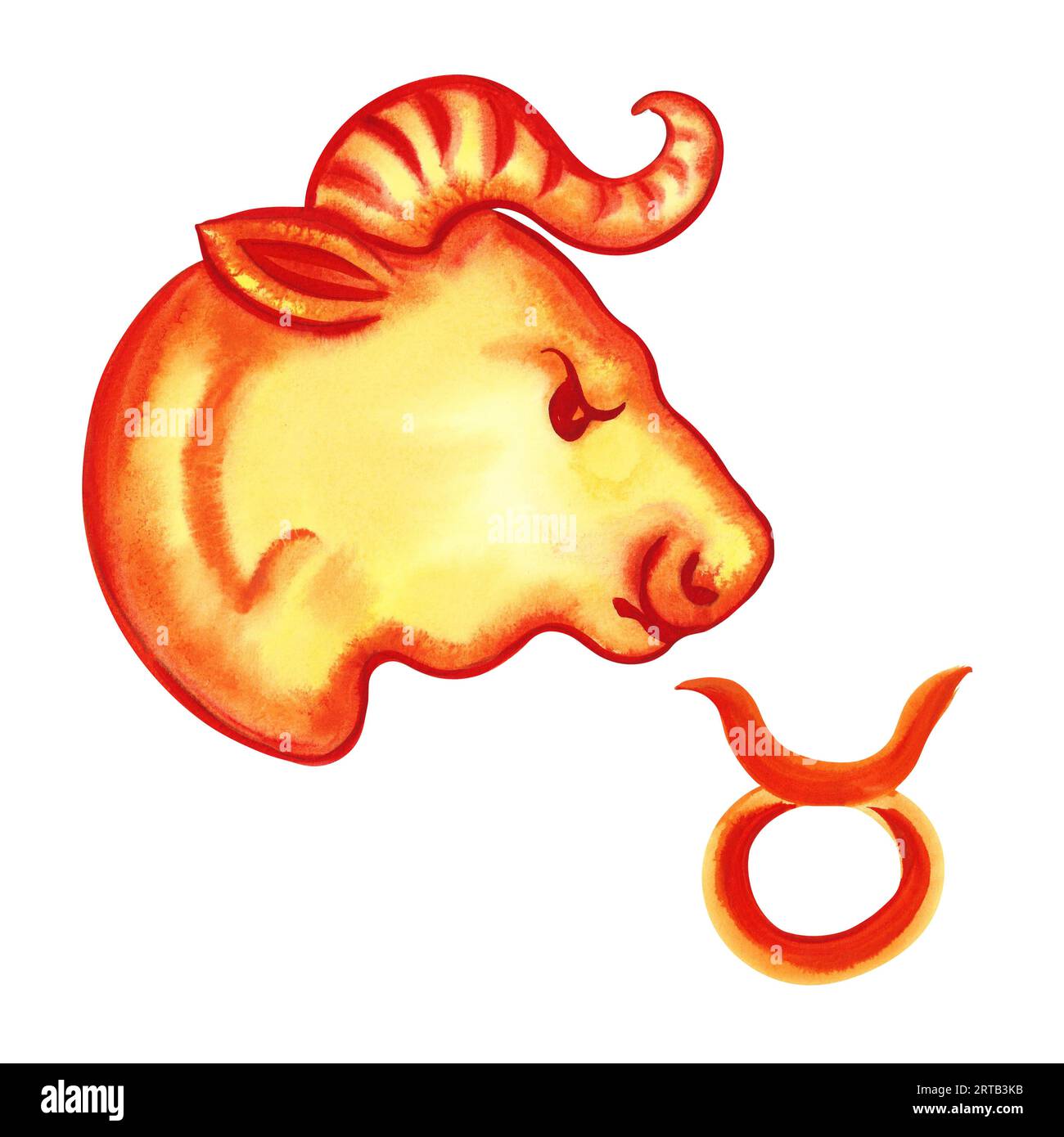 Taurus. Zodiac sign by horoscope. The watercolor is hand-drawn ...