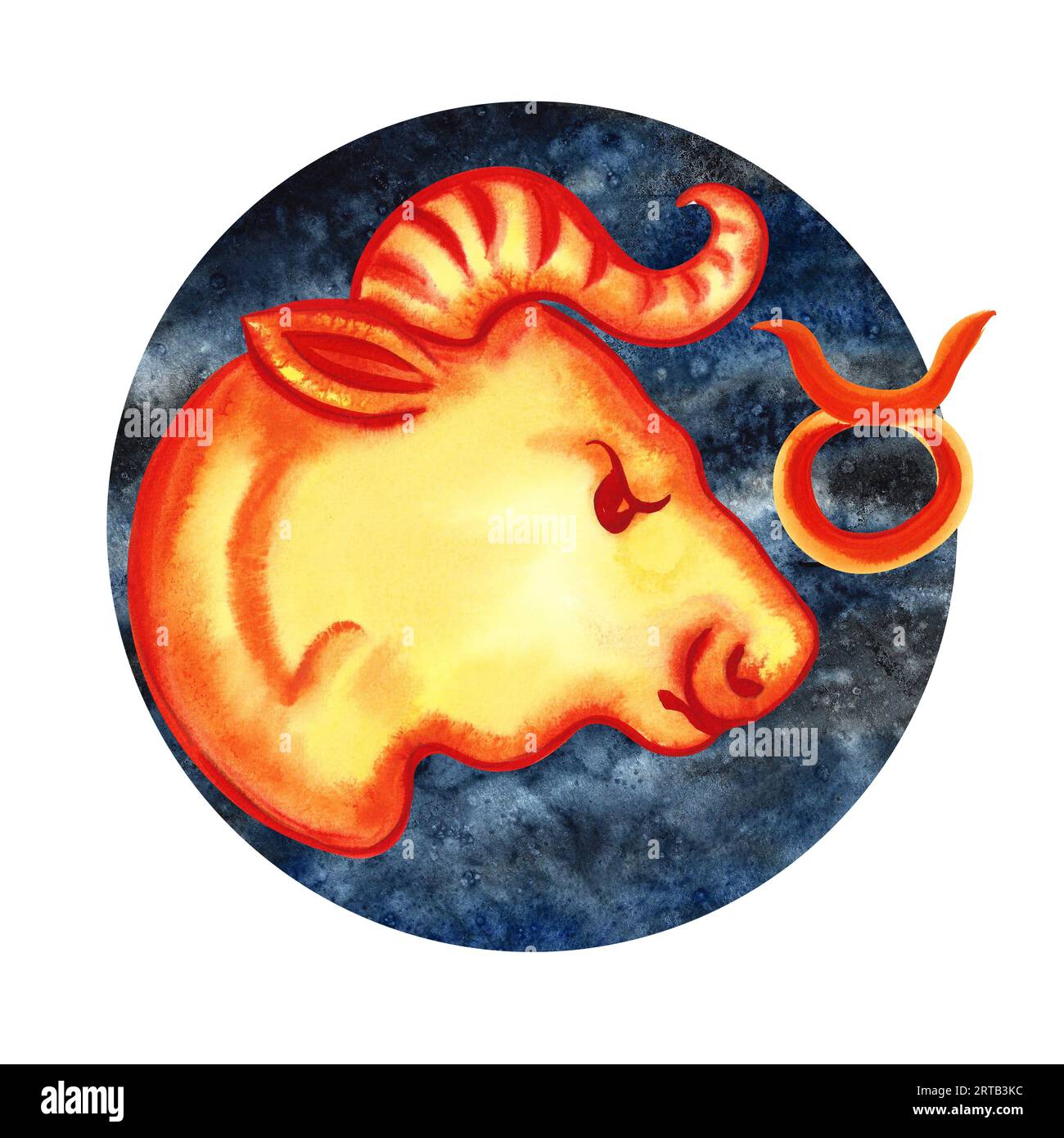 Taurus. Zodiac sign by horoscope. The watercolor is hand-drawn ...