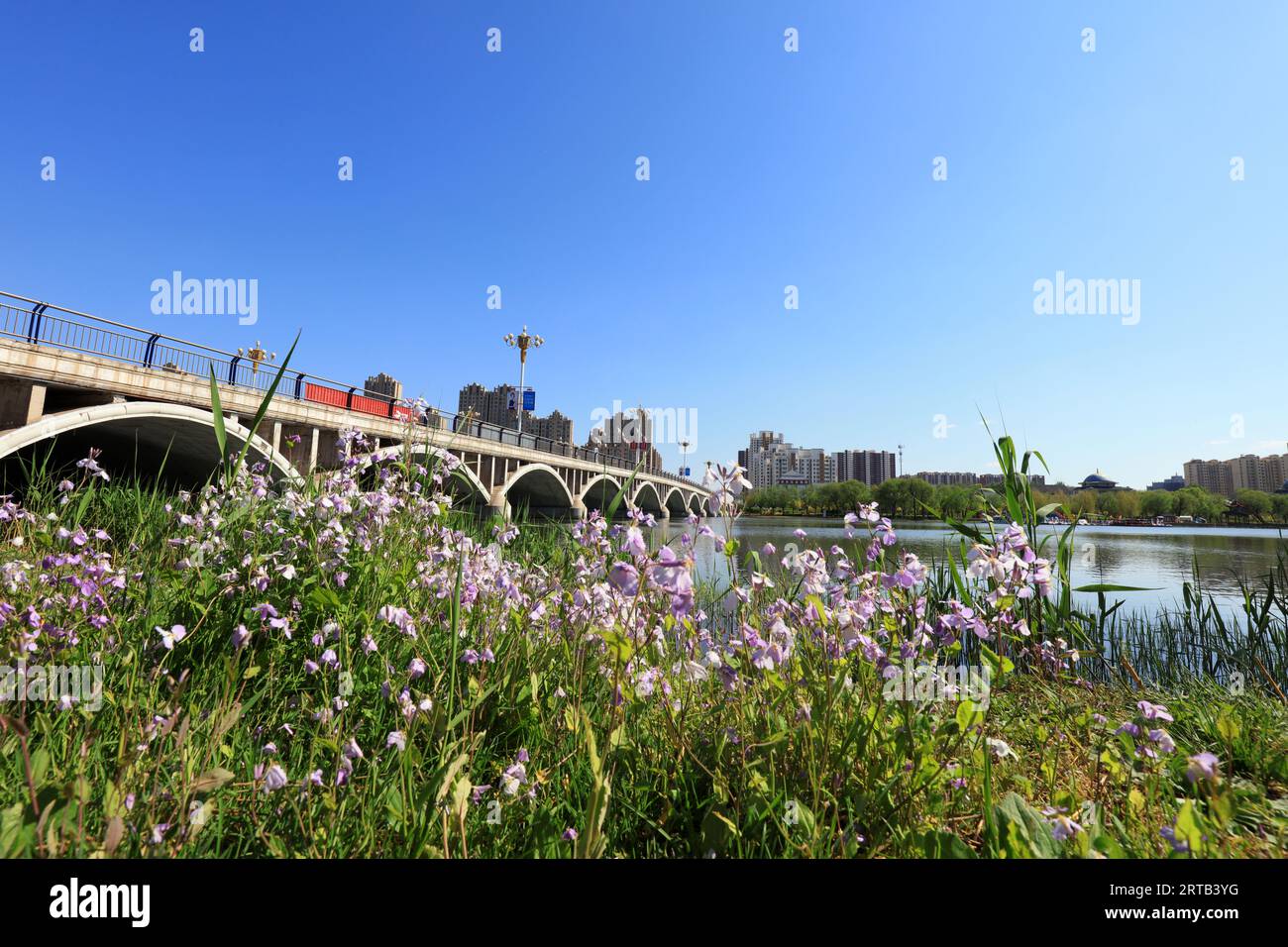 Landscape of urban bridge architecture, LUANNAN COUNTY, Hebei Province ...