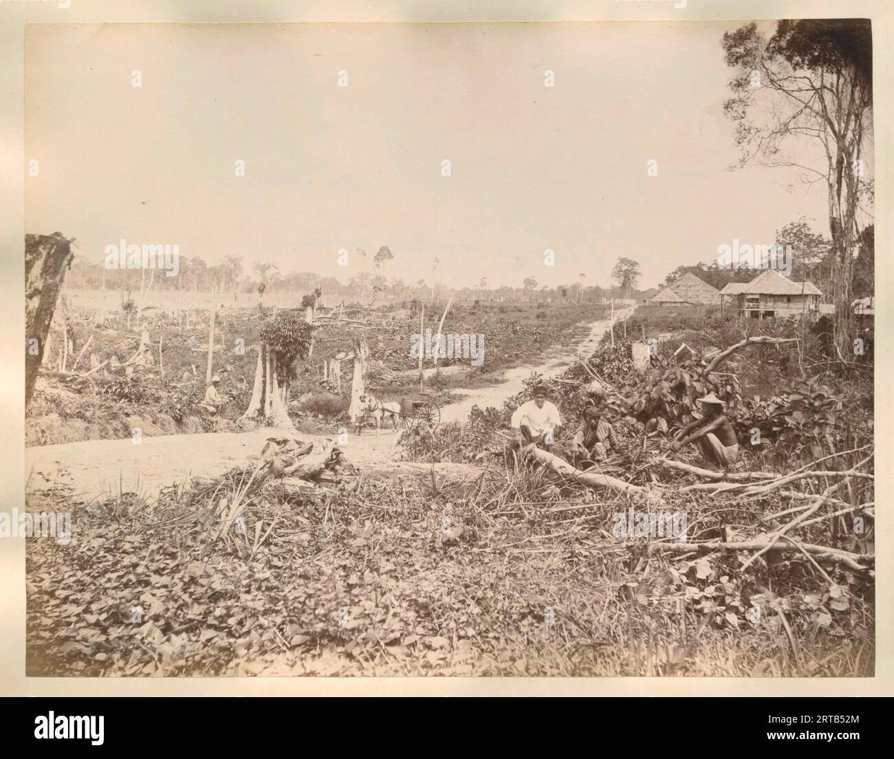 European Colonialism in Indonesia, 1900, 1890, View of a plantation ...