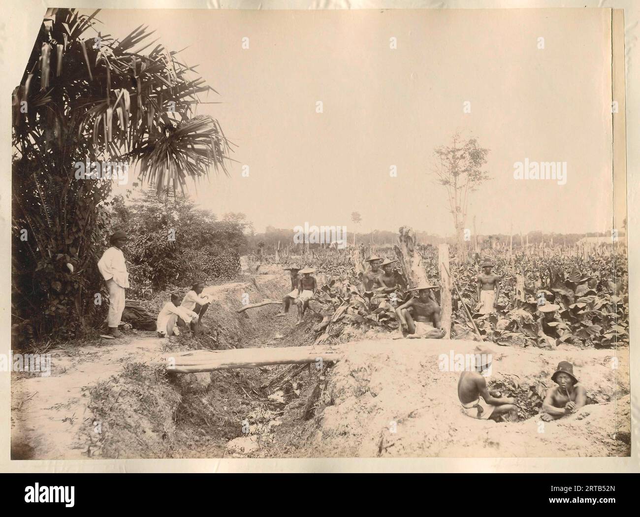 Indonesia 1900 hi-res stock photography and images - Alamy