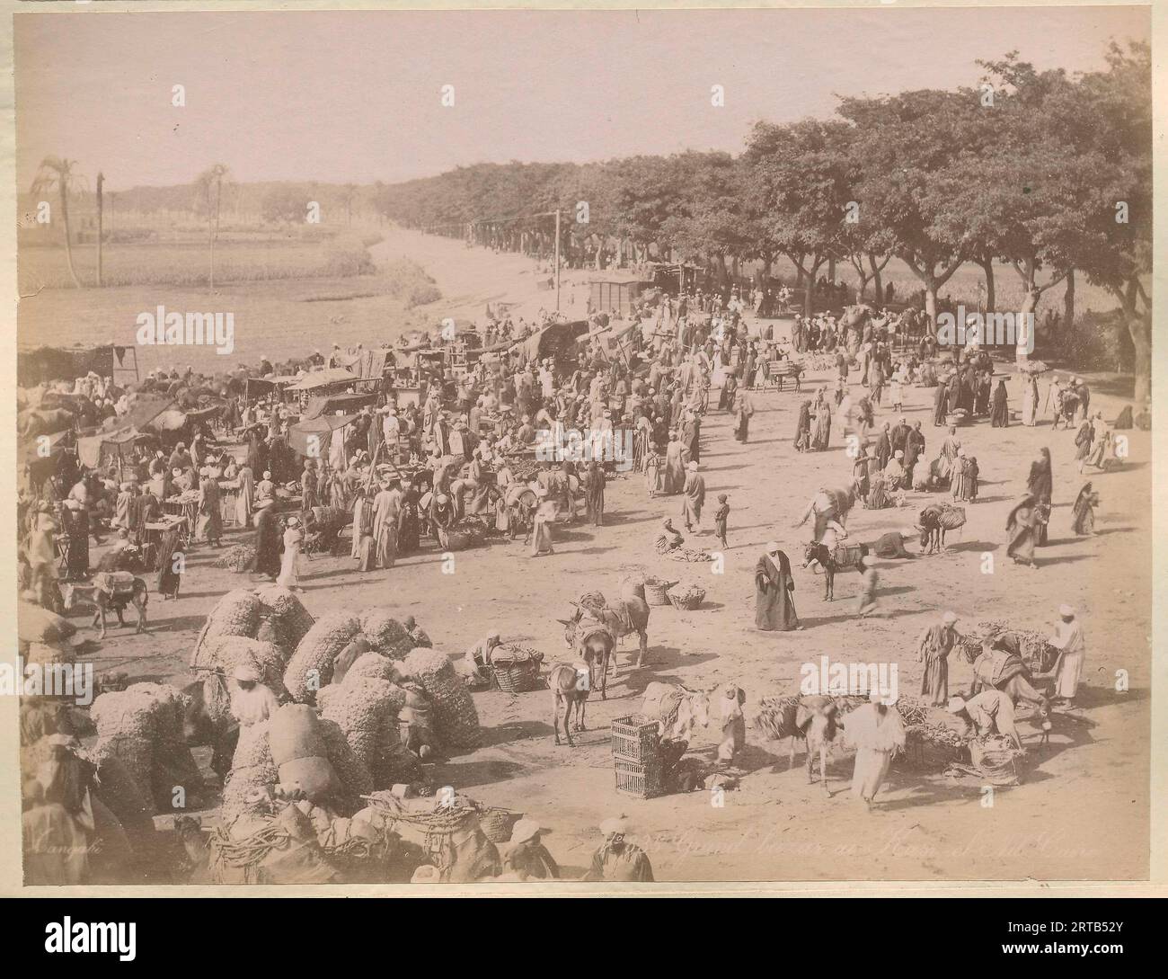 Cairo 20th century market hi-res stock photography and images - Alamy