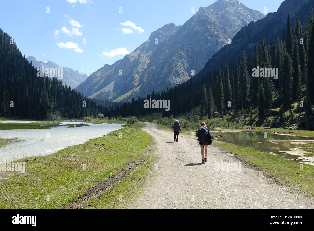 The two people walking along a winding dirt road surrounded by majestic ...