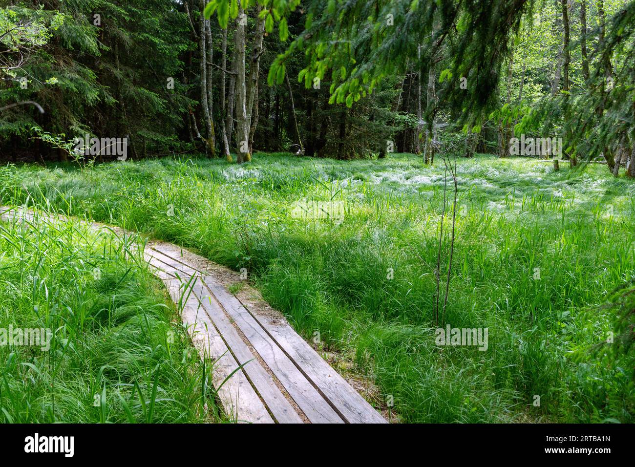 Low moor hi-res stock photography and images - Alamy