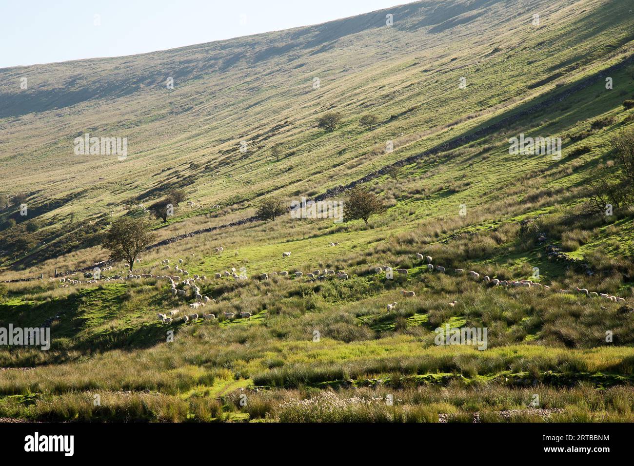 Cantref Reservoir Brycheiniog Brecon Beacons Stock Photo - Alamy