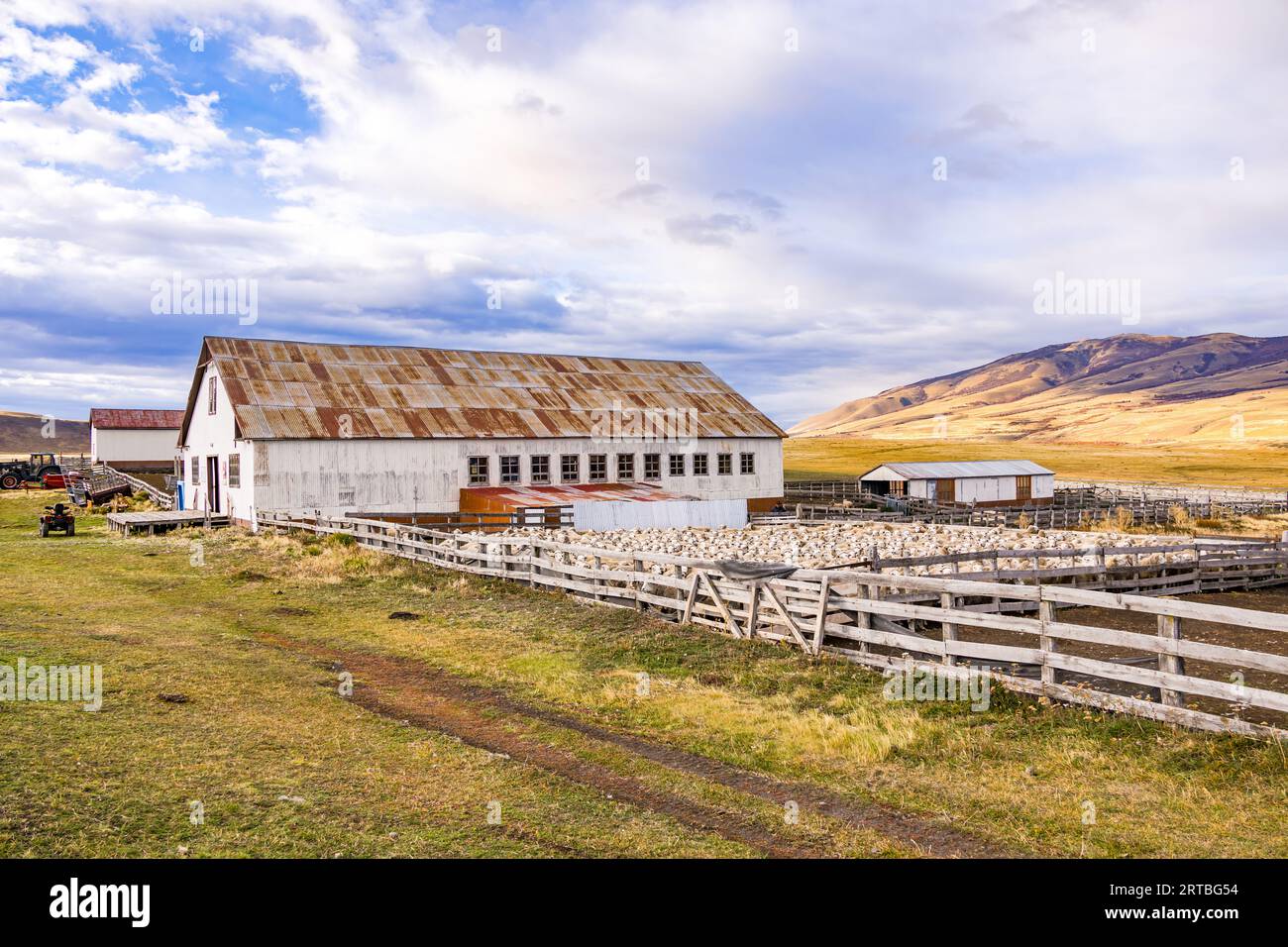 Sheep ranch patagonia hi-res stock photography and images - Alamy