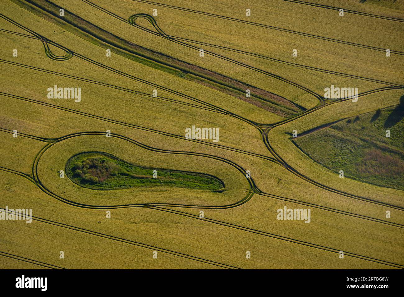 kettle hole in field landscape, aerial view, Germany, Mecklenburg ...
