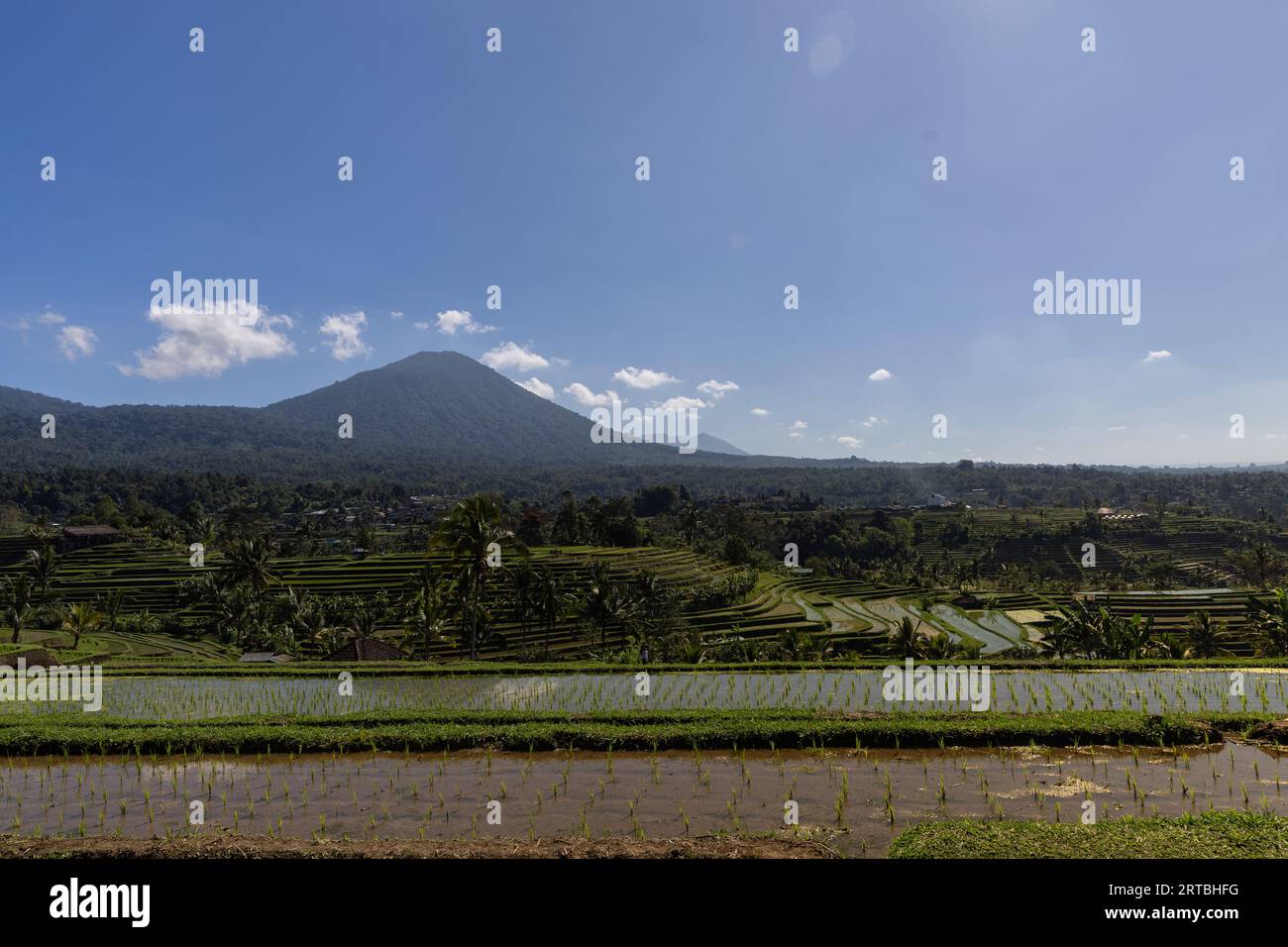 Breathtaking landscapes of the UNESCO rice terraces in Jatiluwih, Bali ...