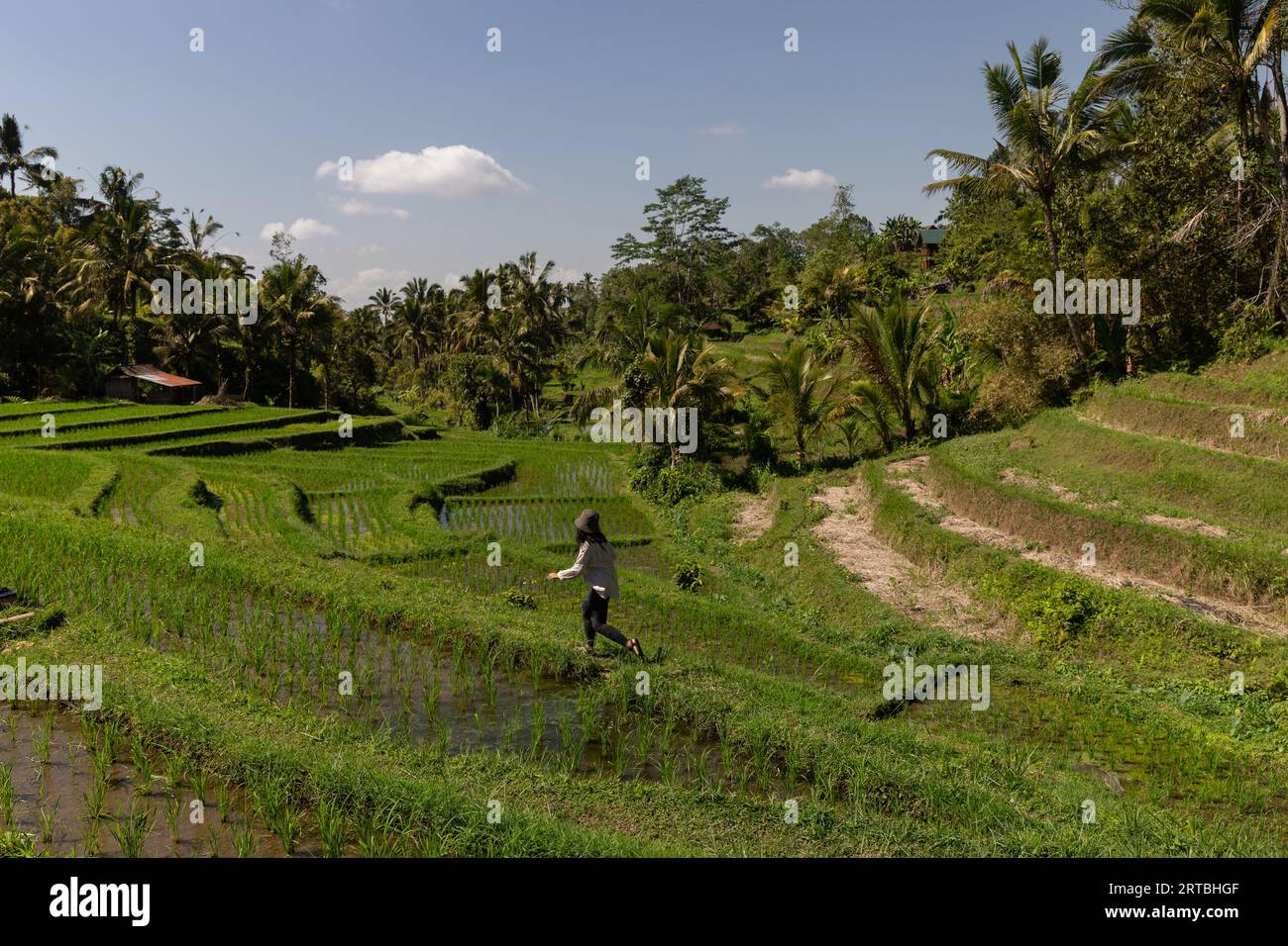 An Indonesian girl walking across in the breathtaking landscapes of the ...