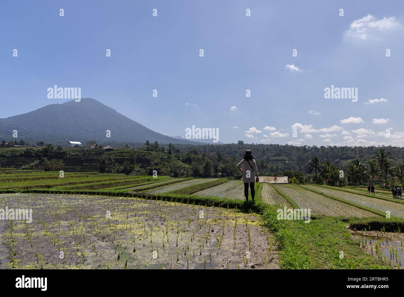 An Indonesian girl taking in the breathtaking landscapes of the UNESCO ...