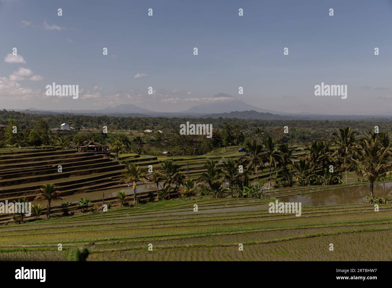 Breathtaking landscapes of the UNESCO rice terraces in Jatiluwih, Bali ...