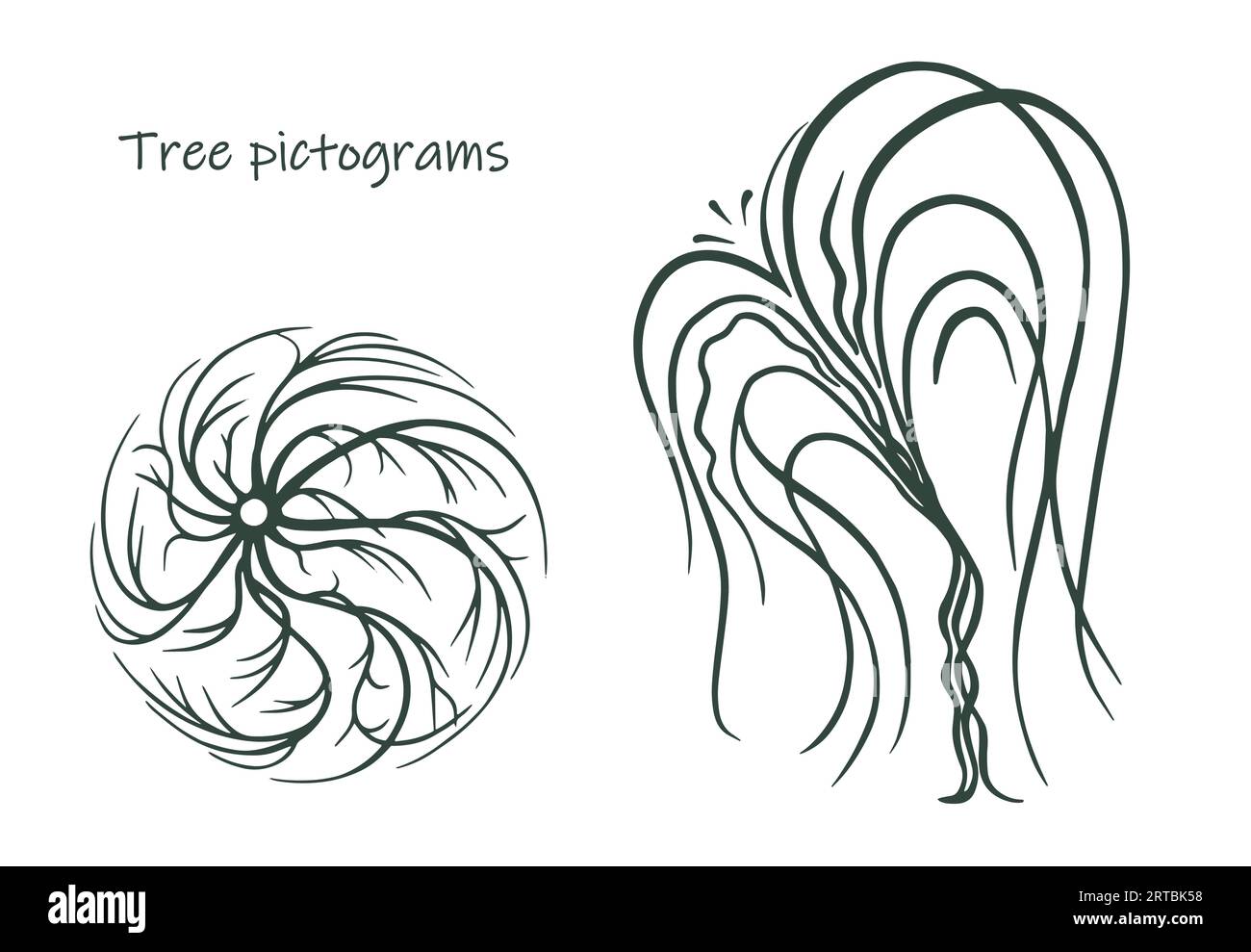 tree pictograms Hand drawn ink. Sketch of plants. Isolated on white ...