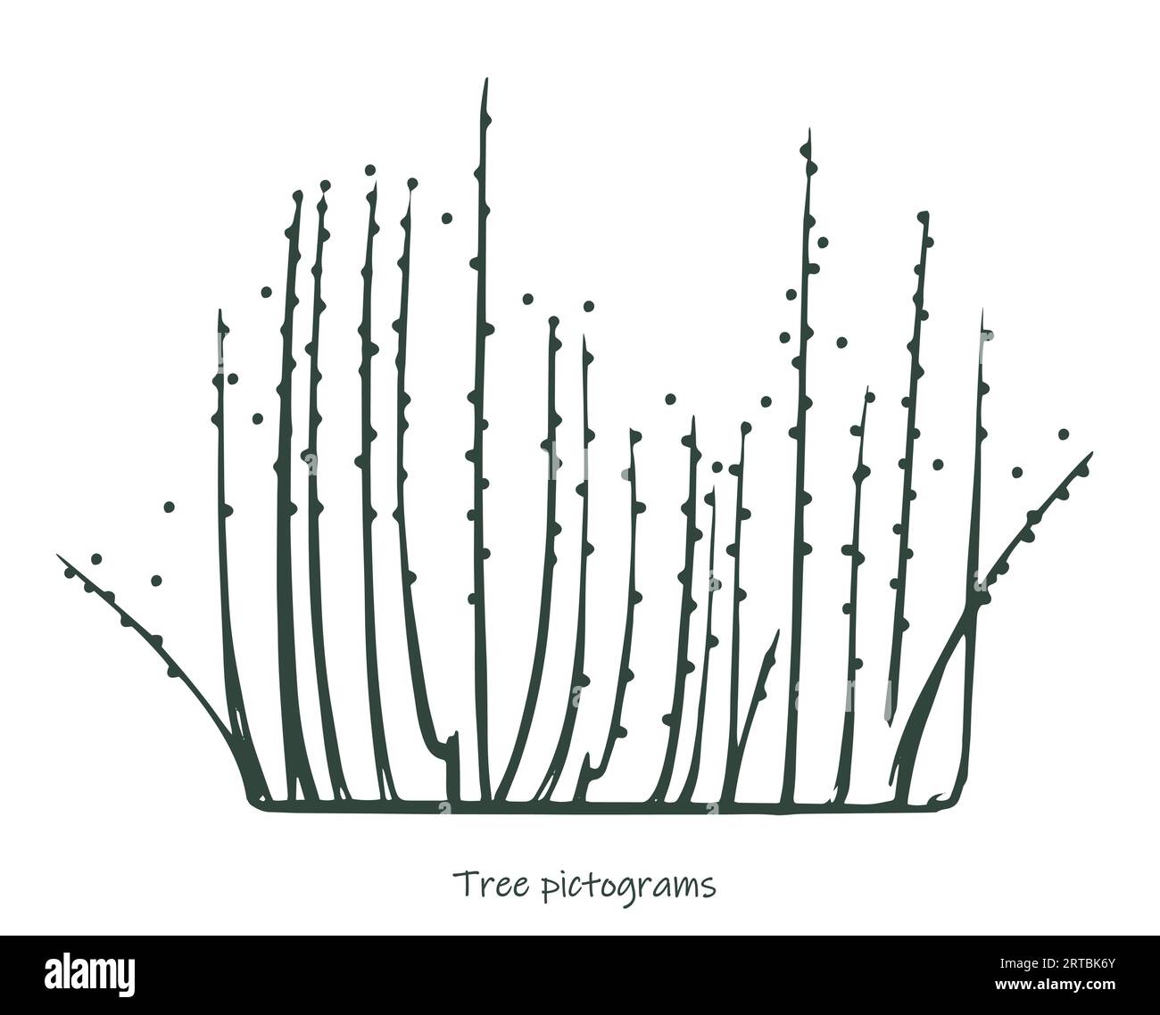 shoot tree pictograms Hand drawn ink. Sketch of plants. Isolated on ...