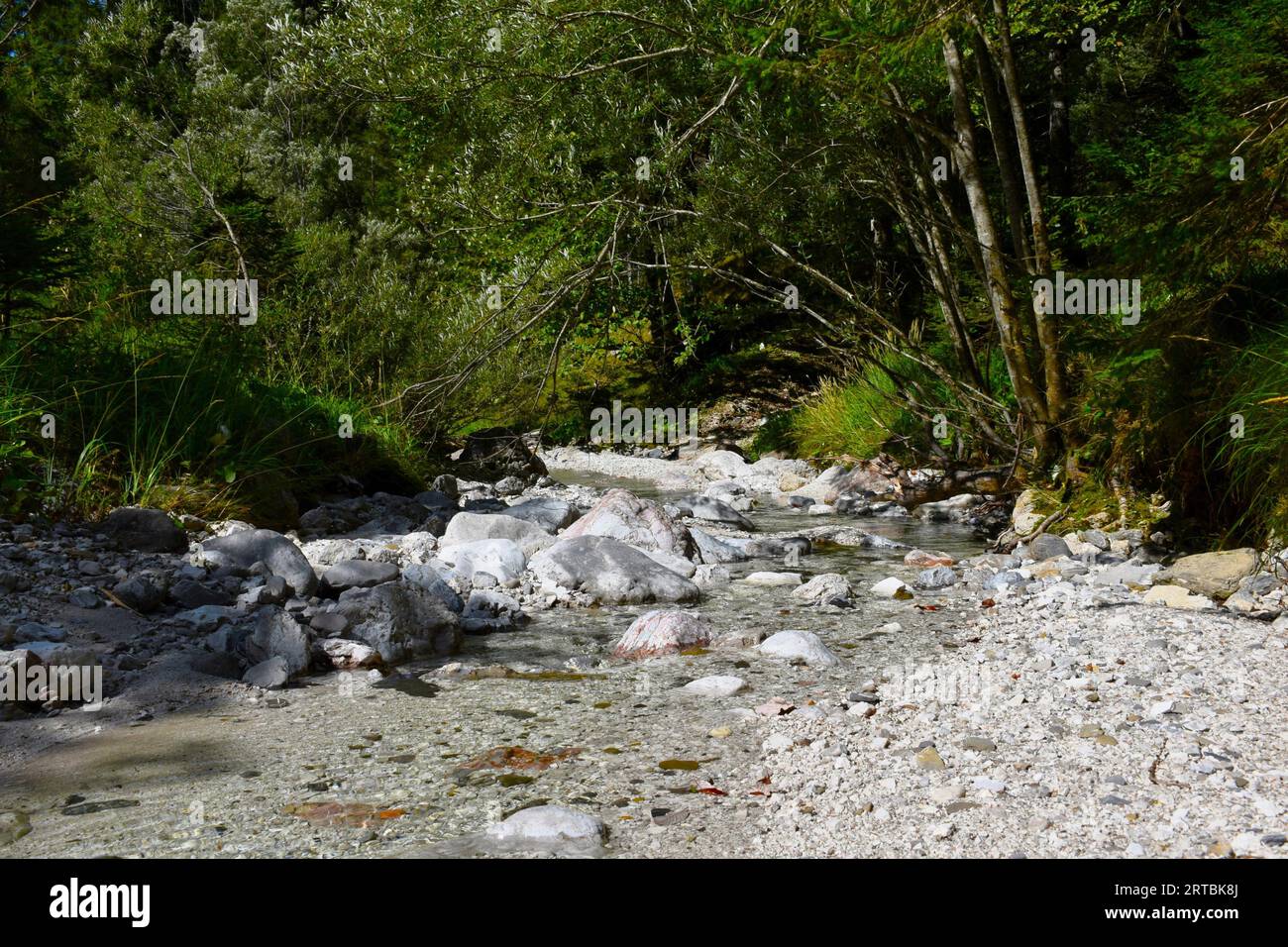 Creek flowing on limestone rocks and willow bushes on the bank Stock ...