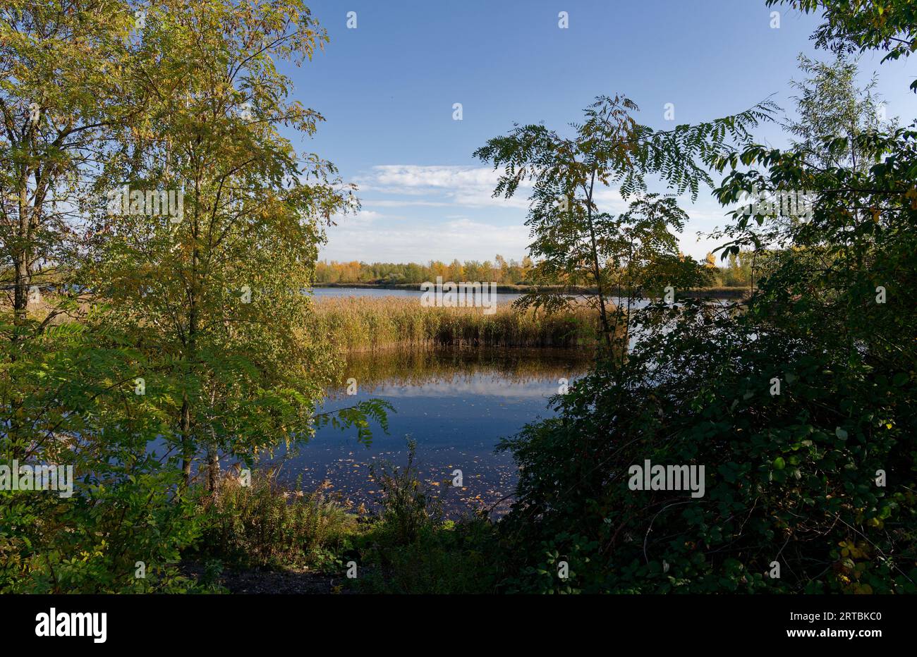 Lobstädter Lachen nature reserve near Lobstädt and Deutzen near the ...